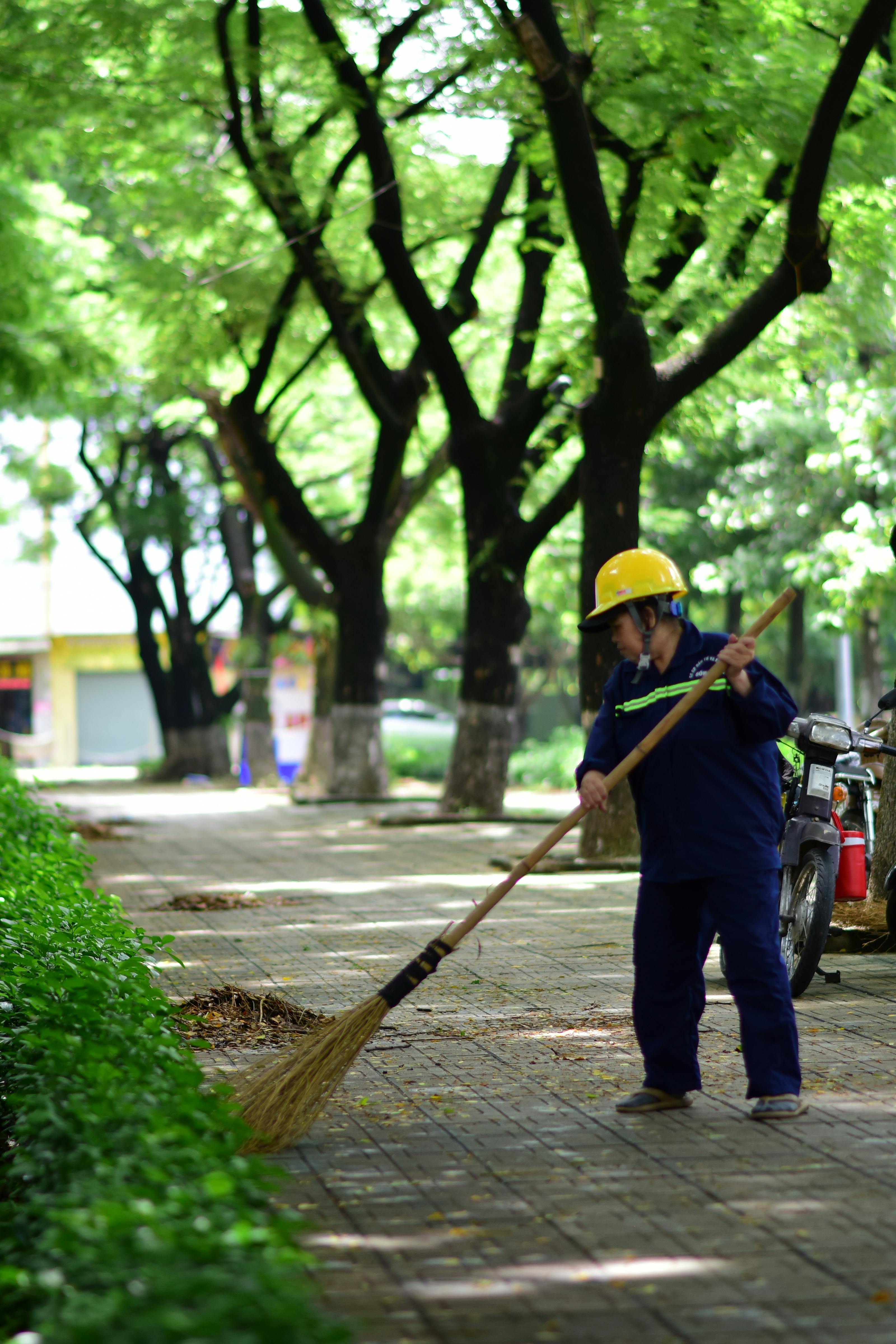 Street Cleaner Sweeping Sidewalk in Lush Urban Park · Free Stock Photo