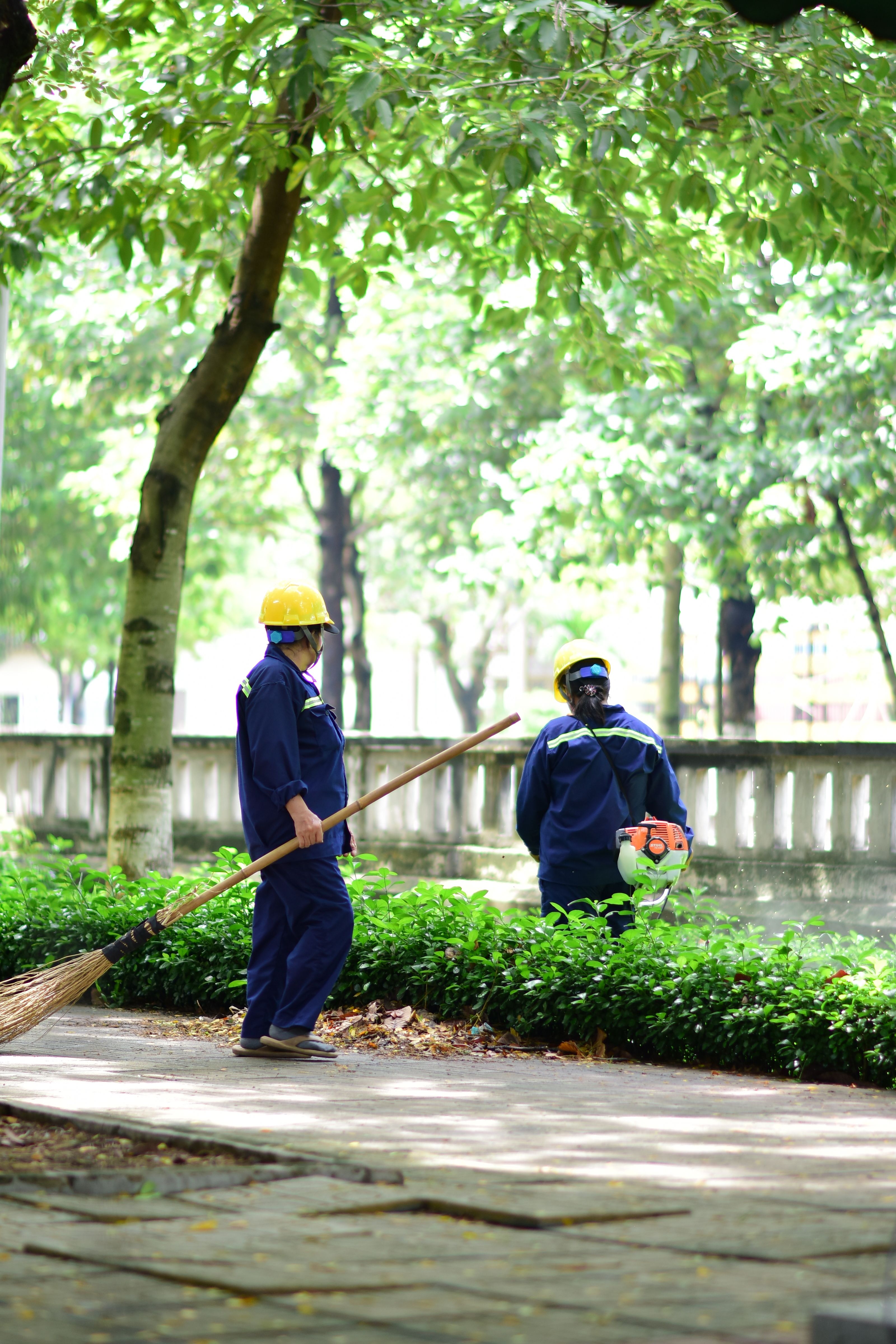 Park Maintenance Workers Sweeping Outdoors · Free Stock Photo