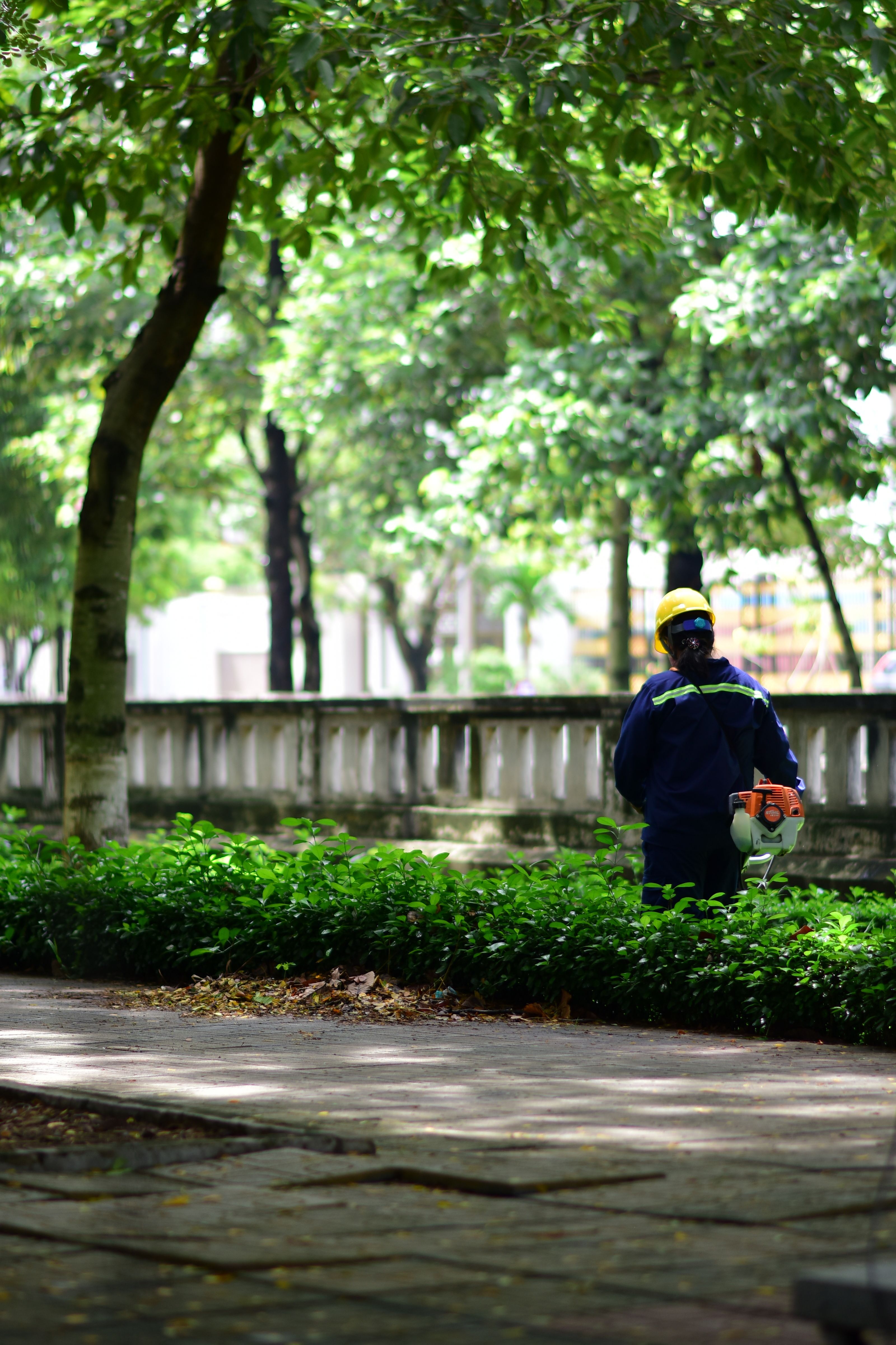 Urban Gardener Maintaining Lush Park Greenery · Free Stock Photo