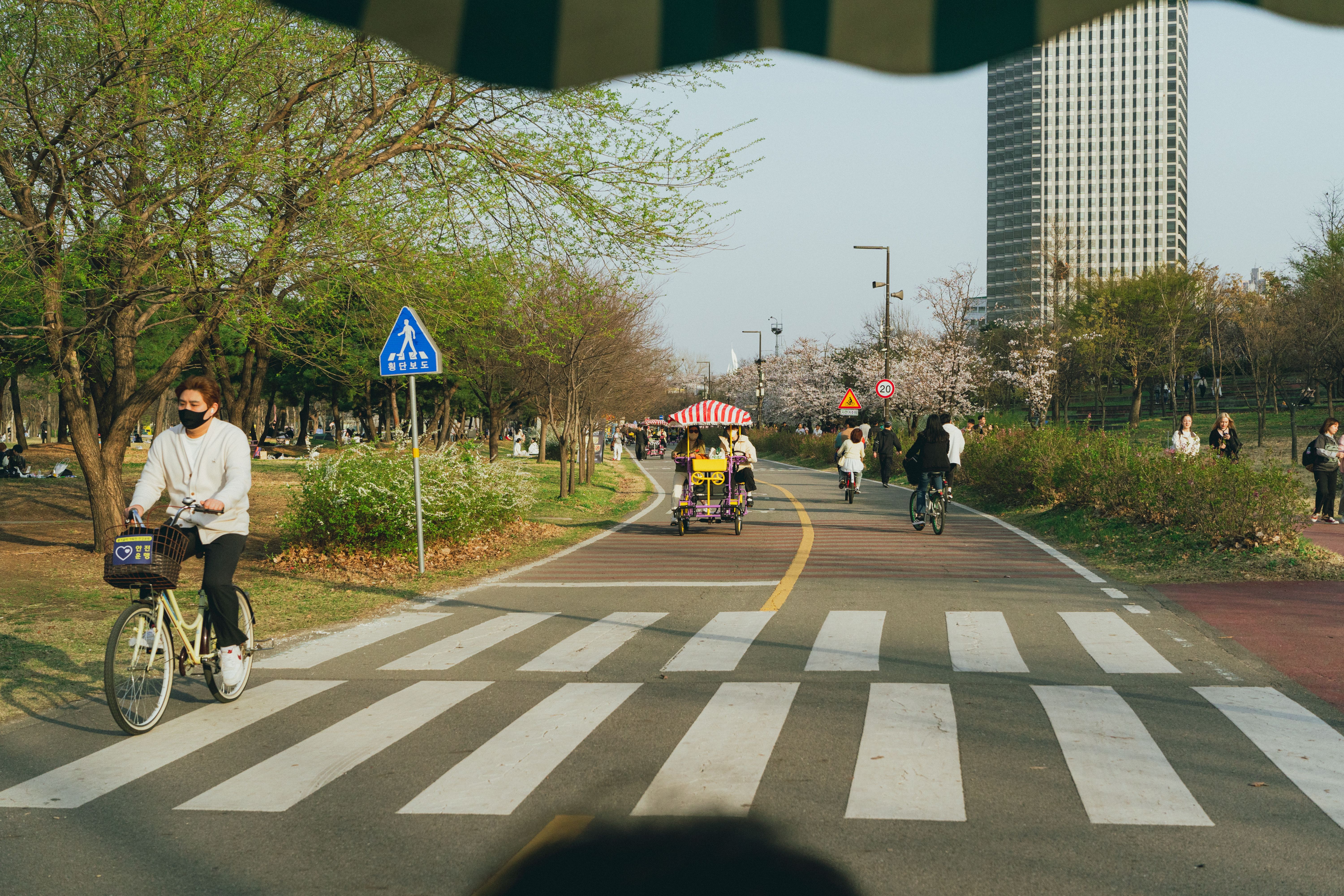 Cyclists Enjoying Spring Day in Seoul Park · Free Stock Photo