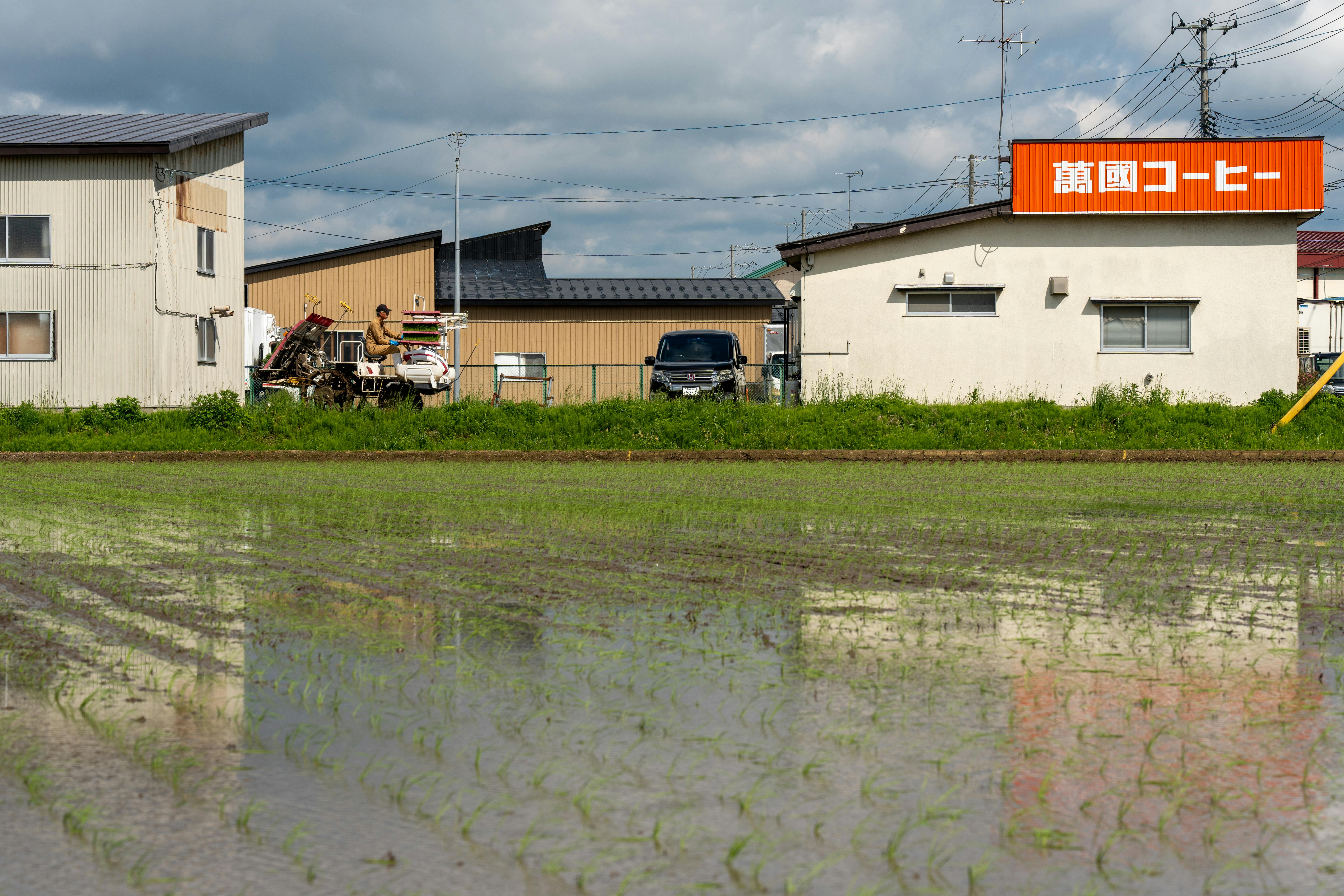 Tranquil Rural Scene with Rice Paddy and Buildings · Free Stock Photo
