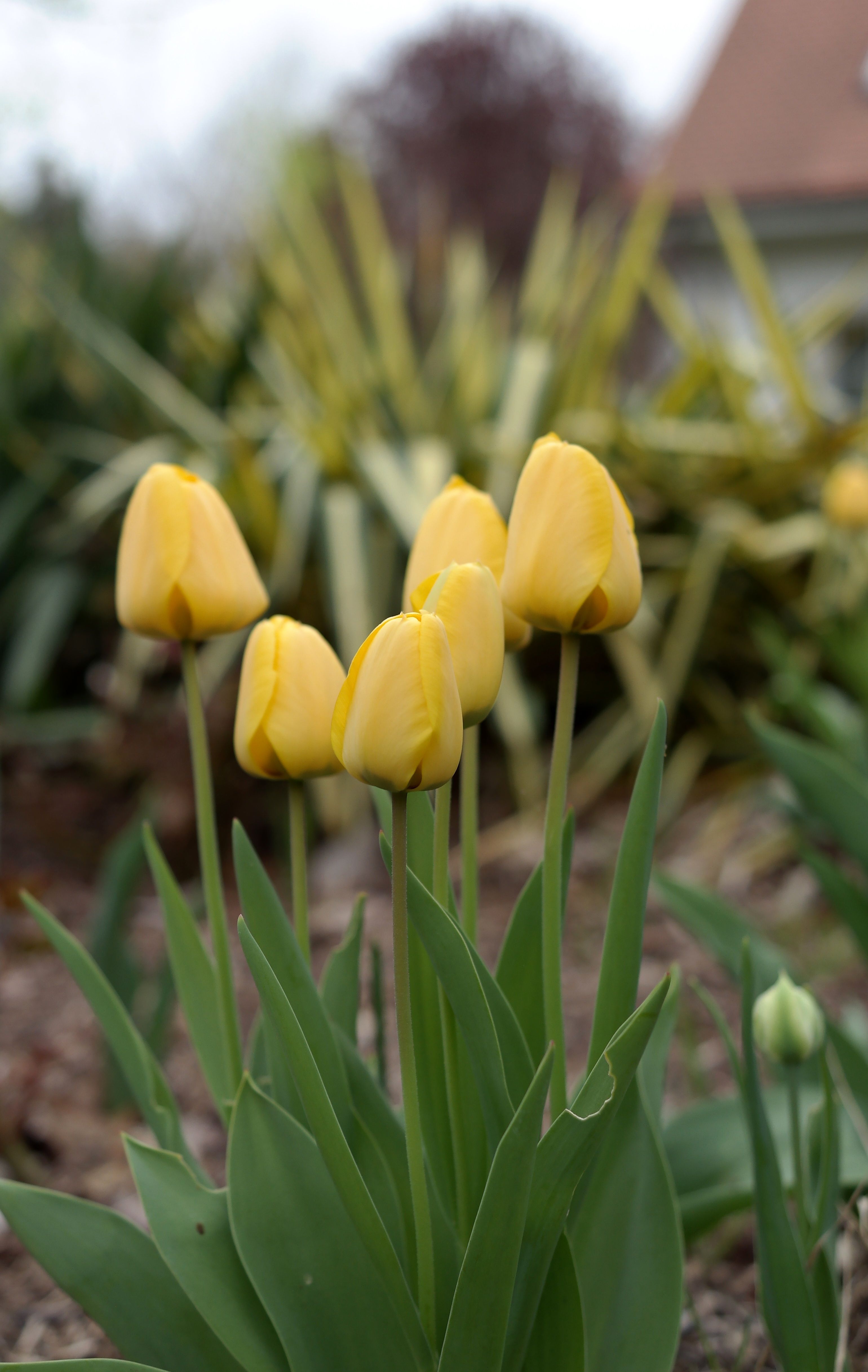 Spring Season Photos, Download The BEST Free Spring Season Stock Photos ...