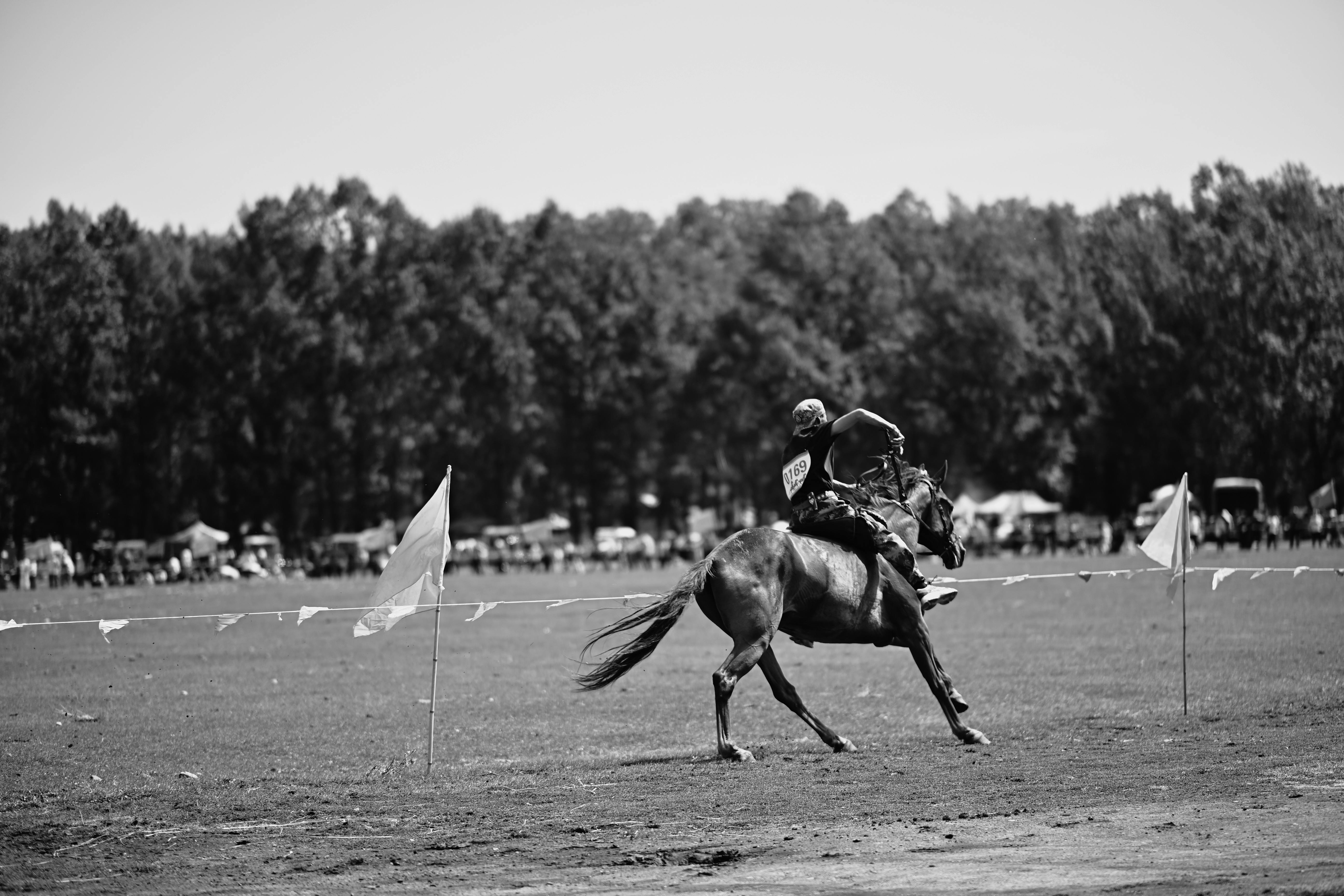 Horse Rider Photos, Download The BEST Free Horse Rider Stock Photos ...