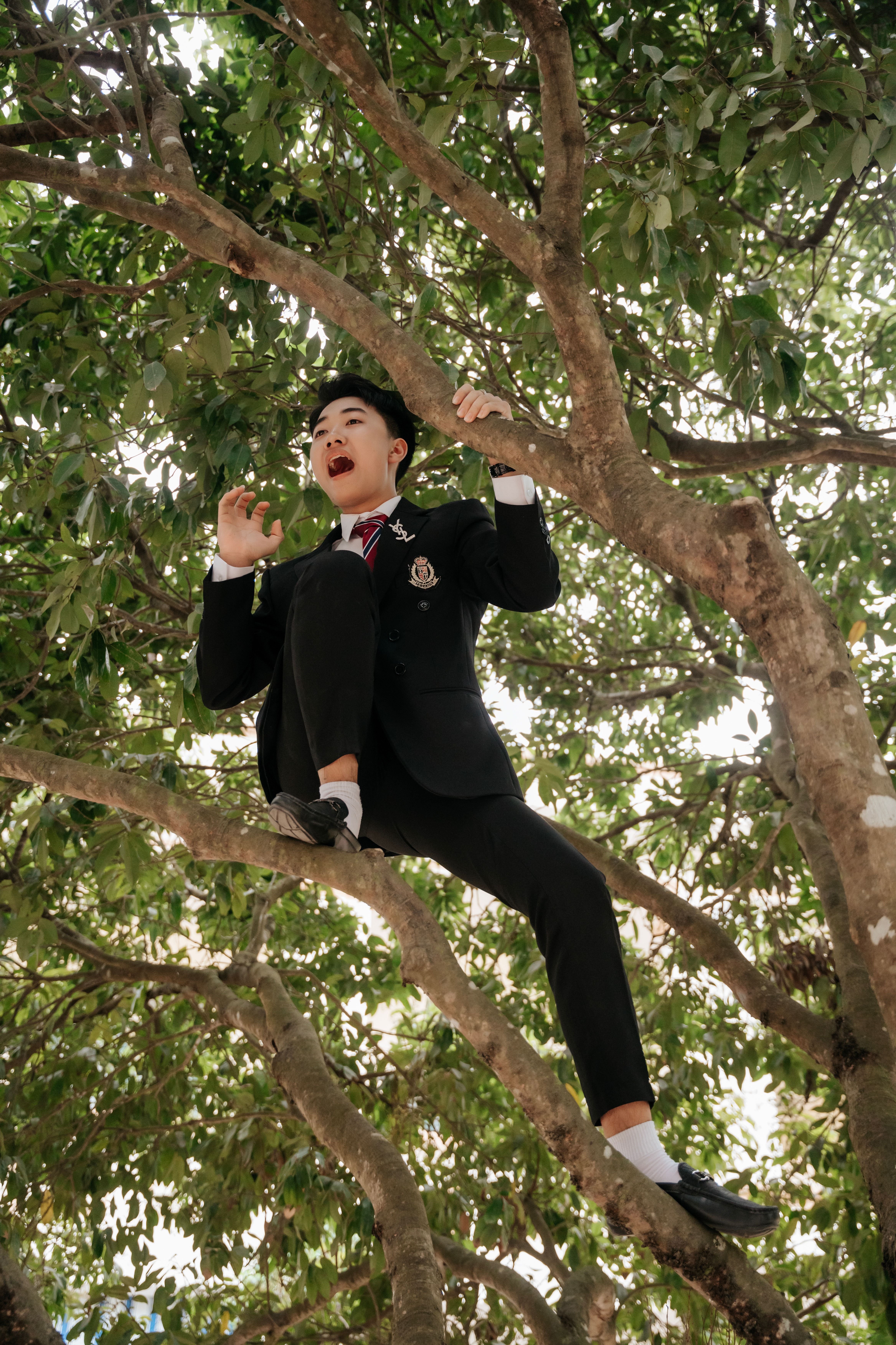 Man in Suit Climbing Tree in Daylight · Free Stock Photo