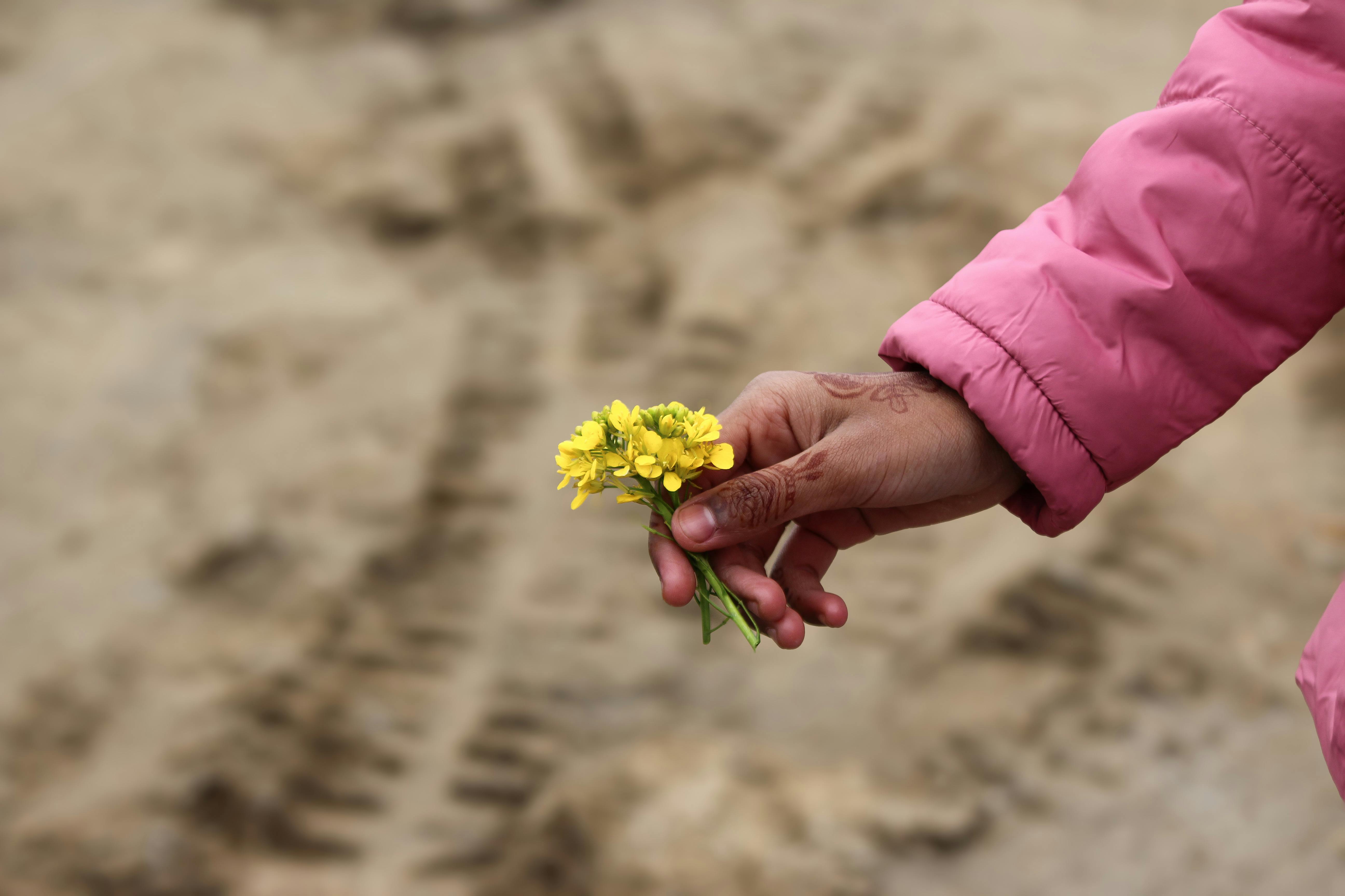 Yolobit+Little+Girl+Images Photos, Download The BEST Free Yolobit ...