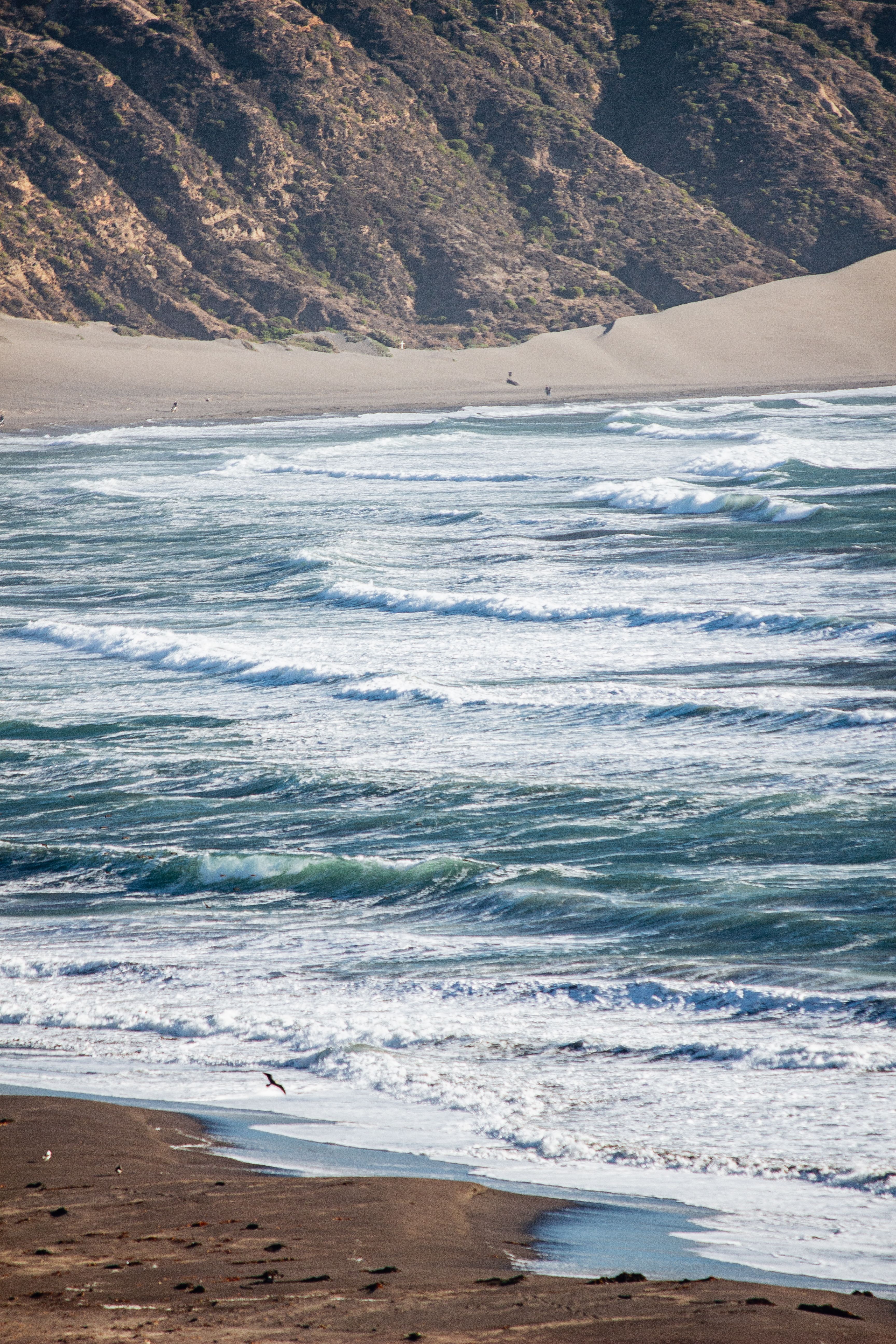 Scenic Ocean Waves Crashing on Remote Beach · Free Stock Photo