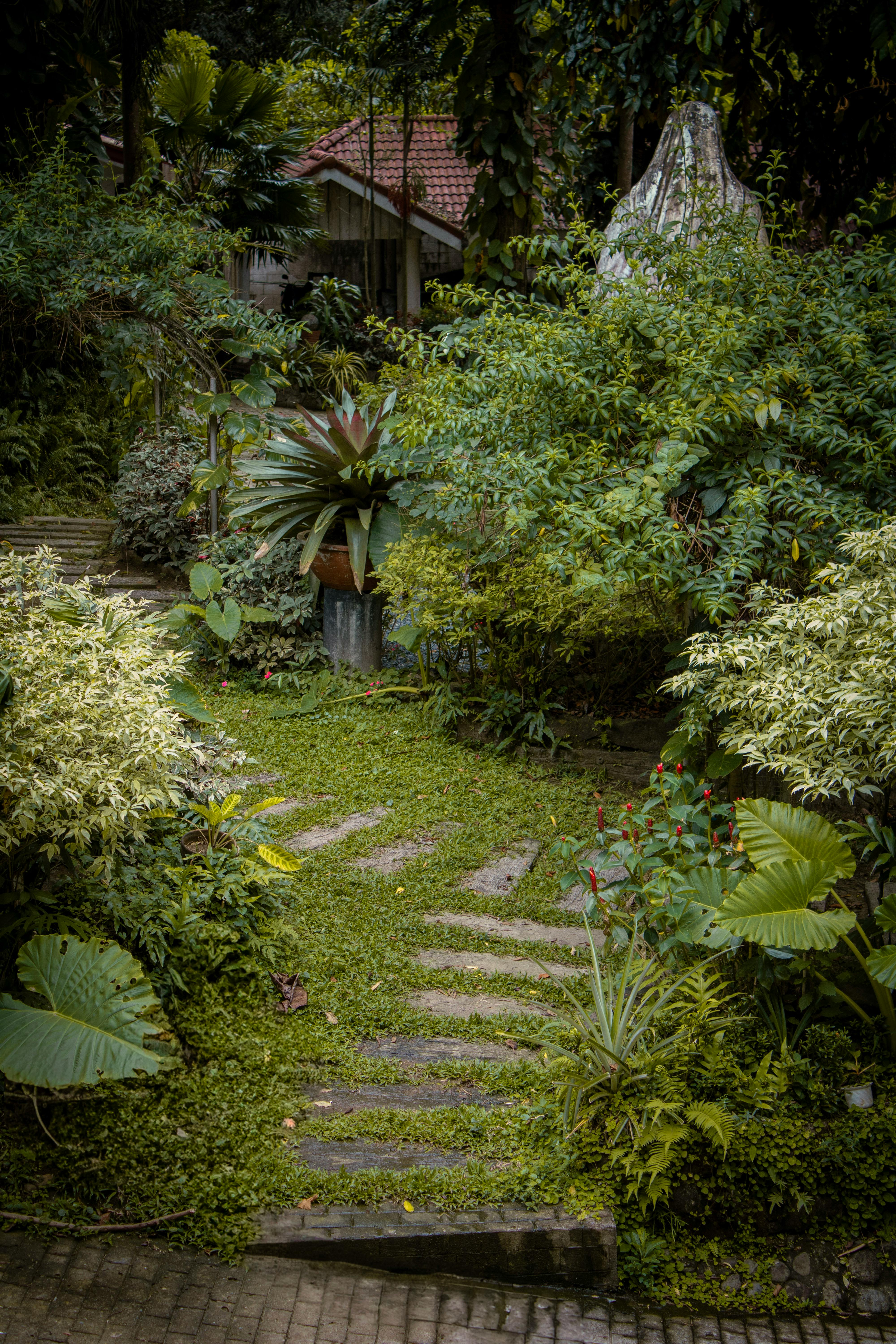 Kpmg+Wallpaper Photos, Download The BEST Free Kpmg+Wallpaper Stock ...