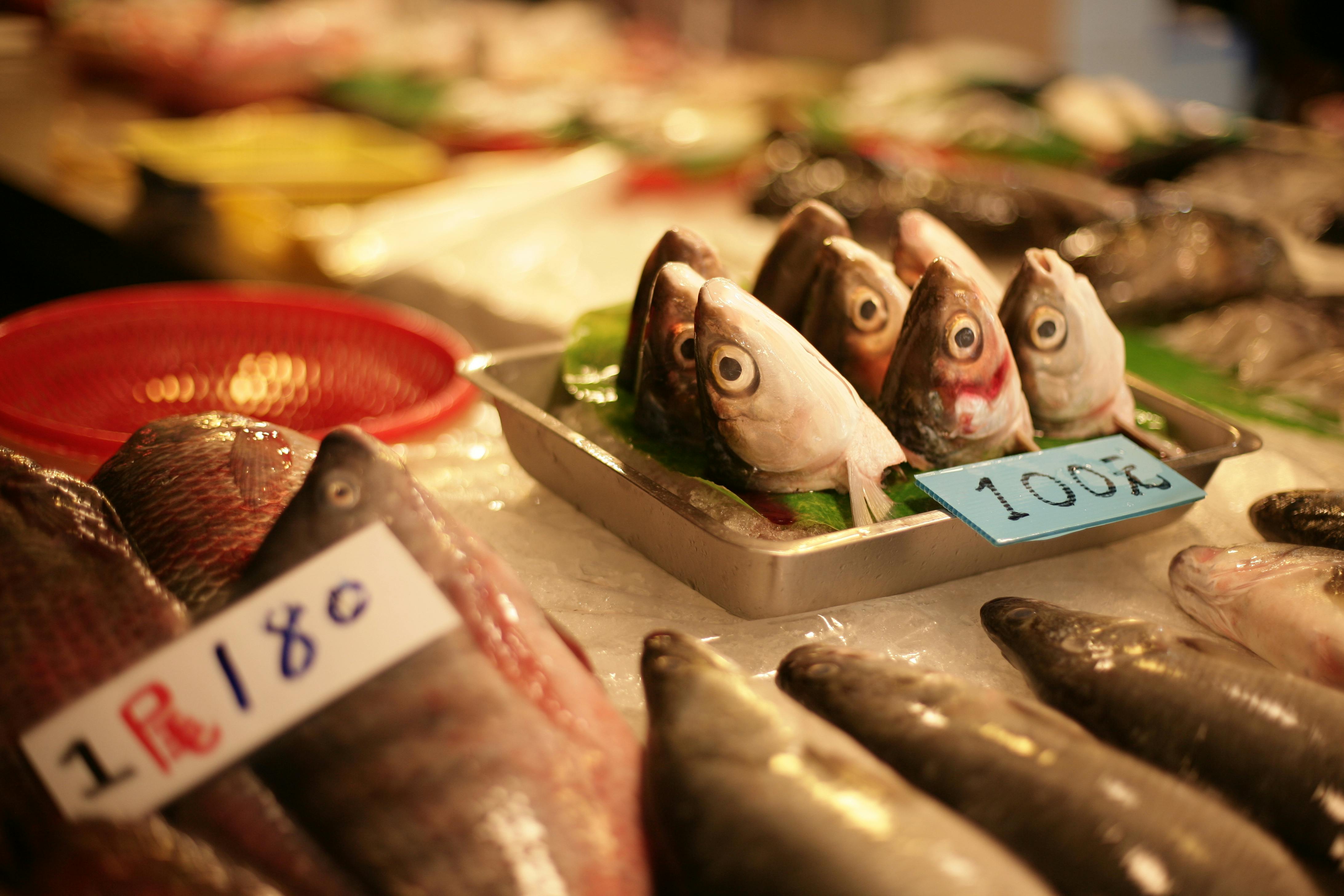 Fresh Fish Display at Market with Price Tags · Free Stock Photo