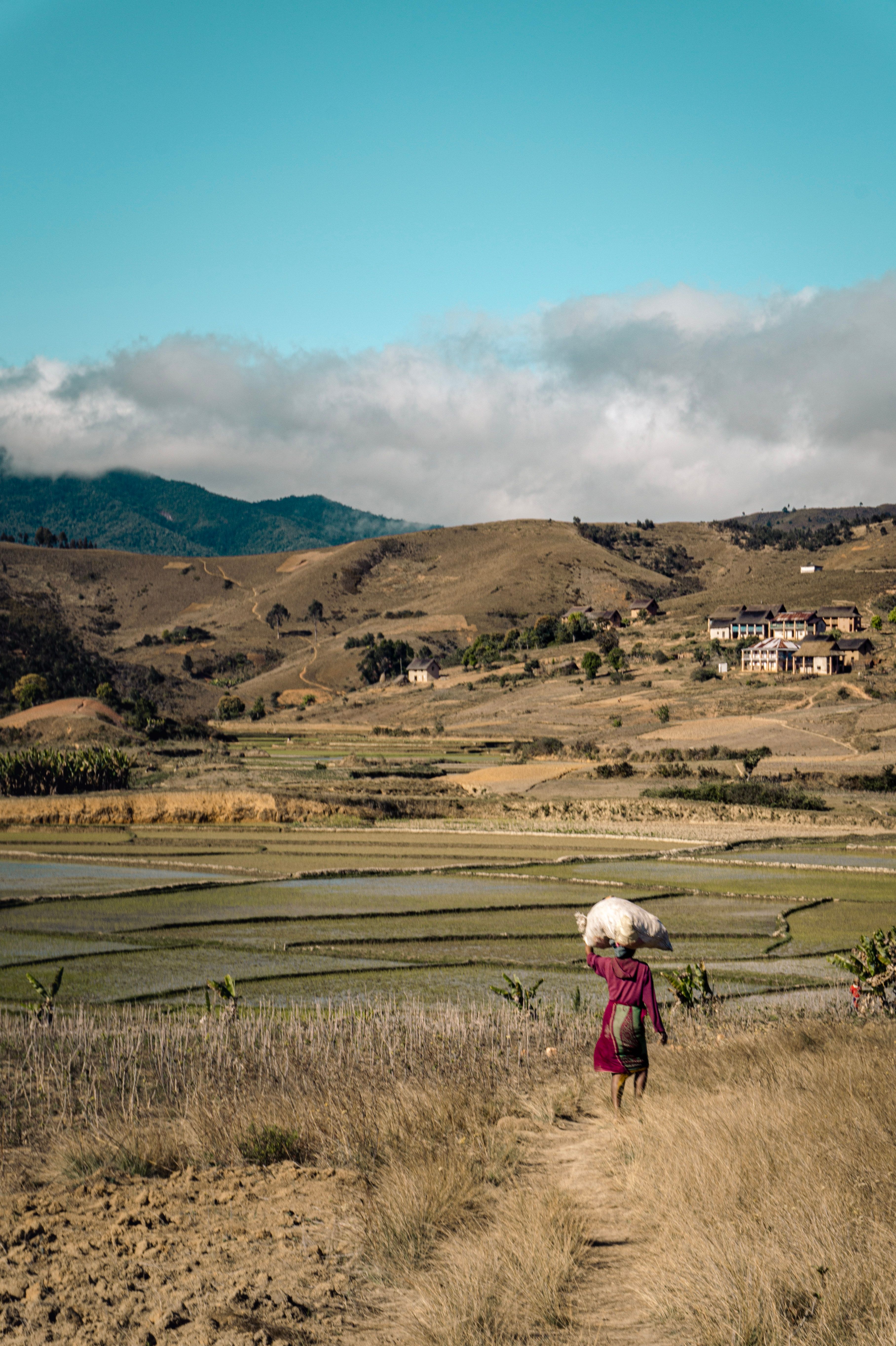 Country Life Photos, Download The BEST Free Country Life Stock Photos ...