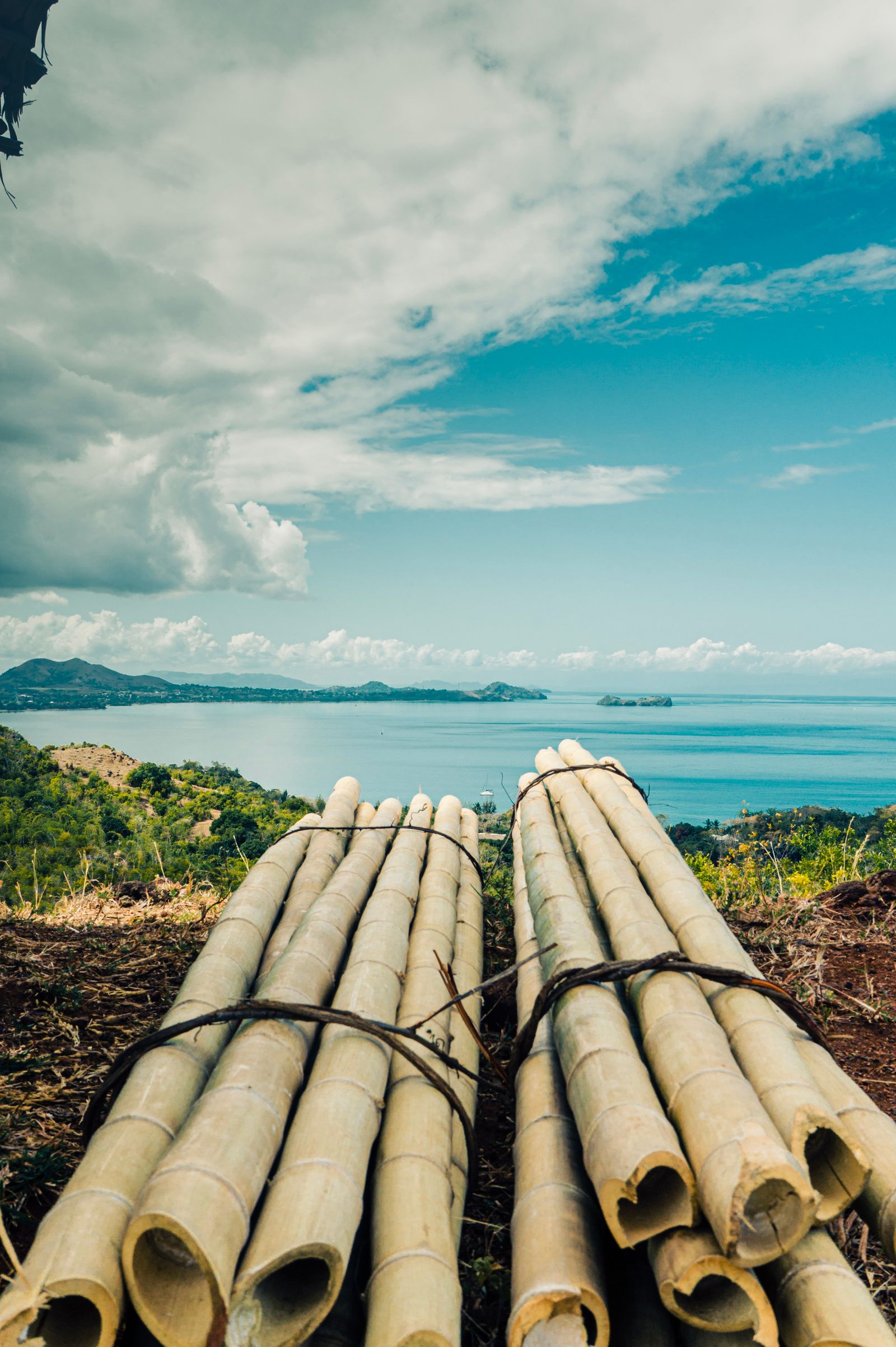 Newstar Diana Photos, Download The BEST Free Newstar Diana Stock Photos ...