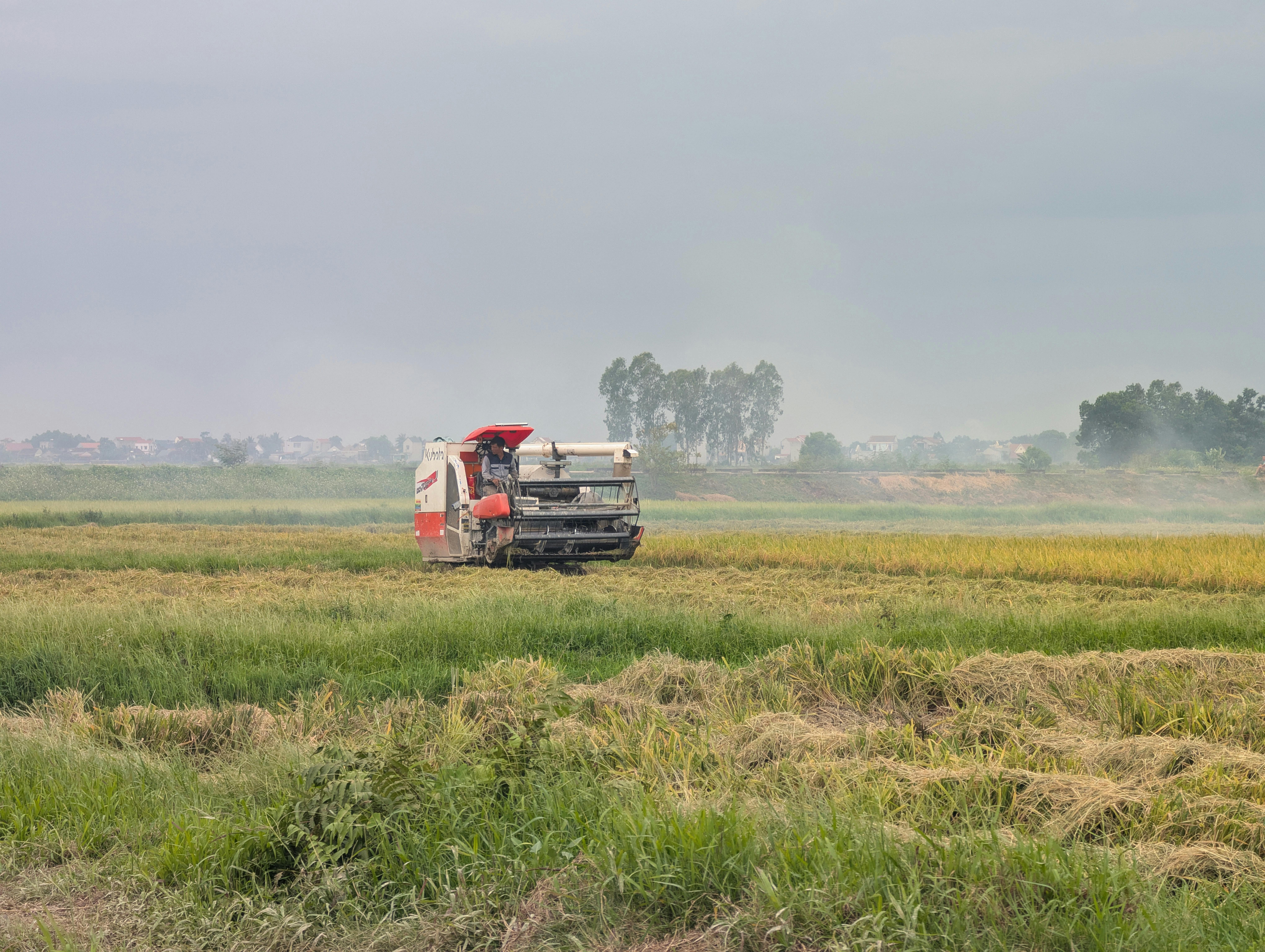 Modern Combine Harvester in Rice Field · Free Stock Photo