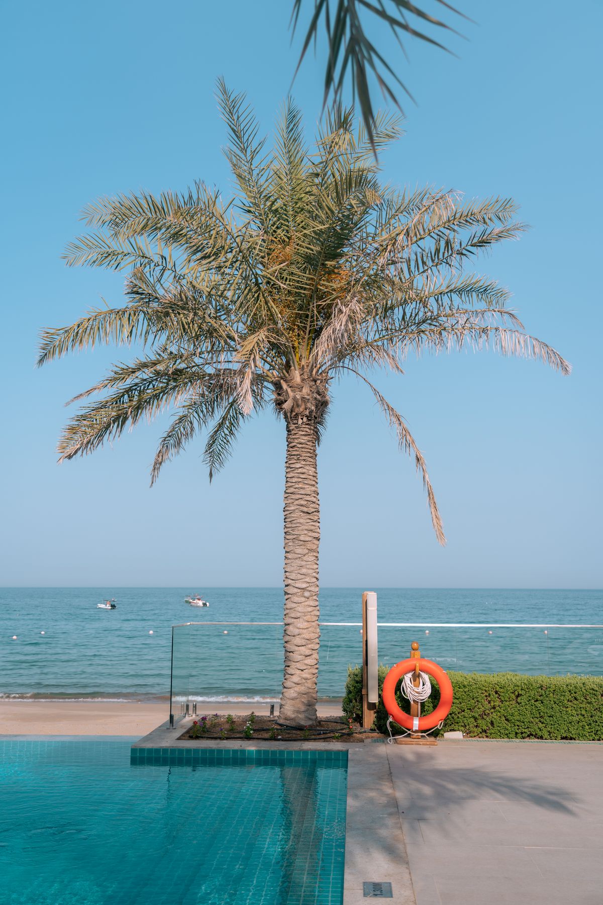 Palm Jumeirah Photos, Download The BEST Free Palm Jumeirah Stock Photos ...