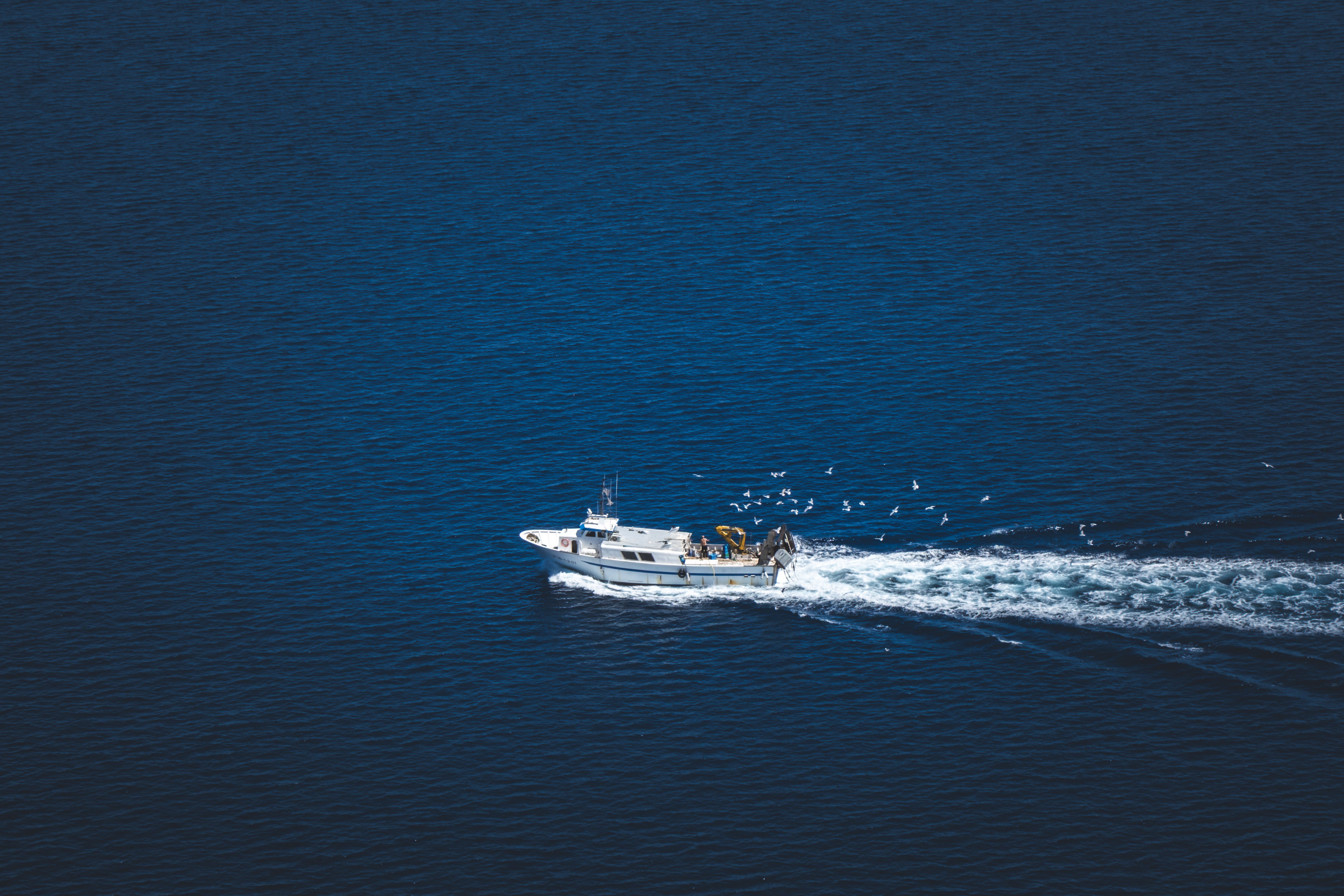 Motor boat making circle on water surface · Free Stock Photo