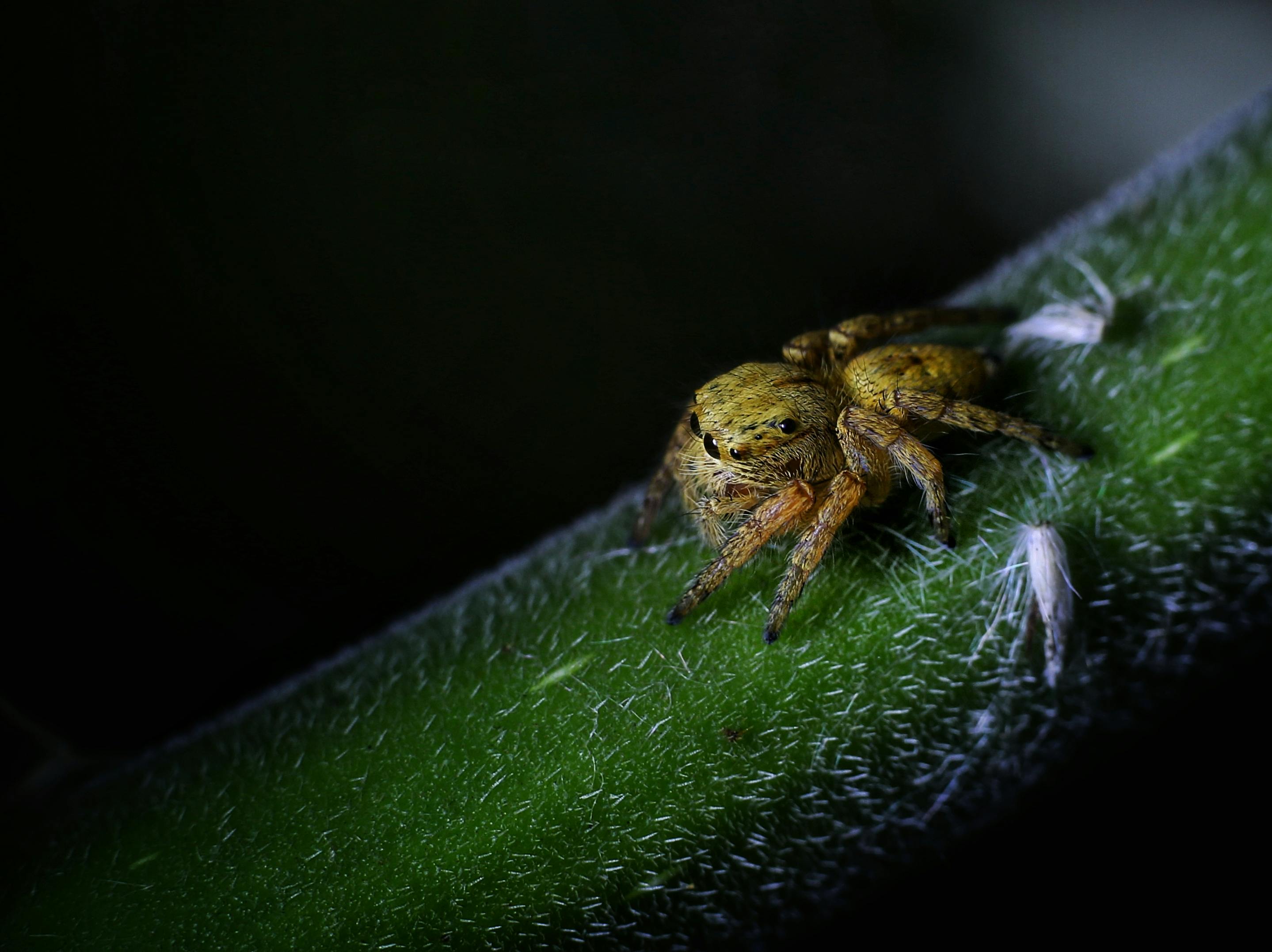 Vicks+And+Swelling+Legs+And+Feet Photos, Download The BEST Free Vicks ...