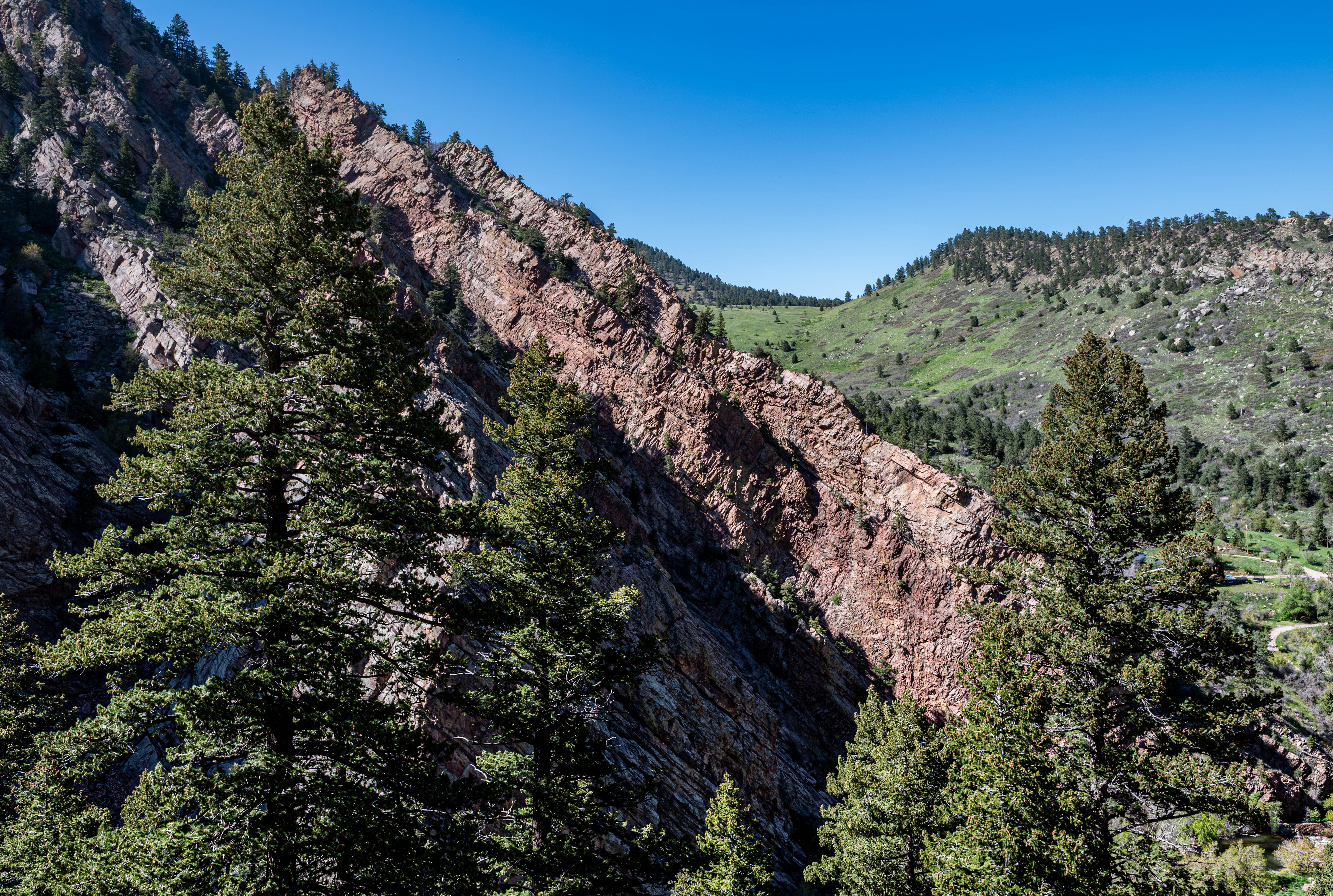 Rugged Mountain Landscape with Pine Trees · Free Stock Photo