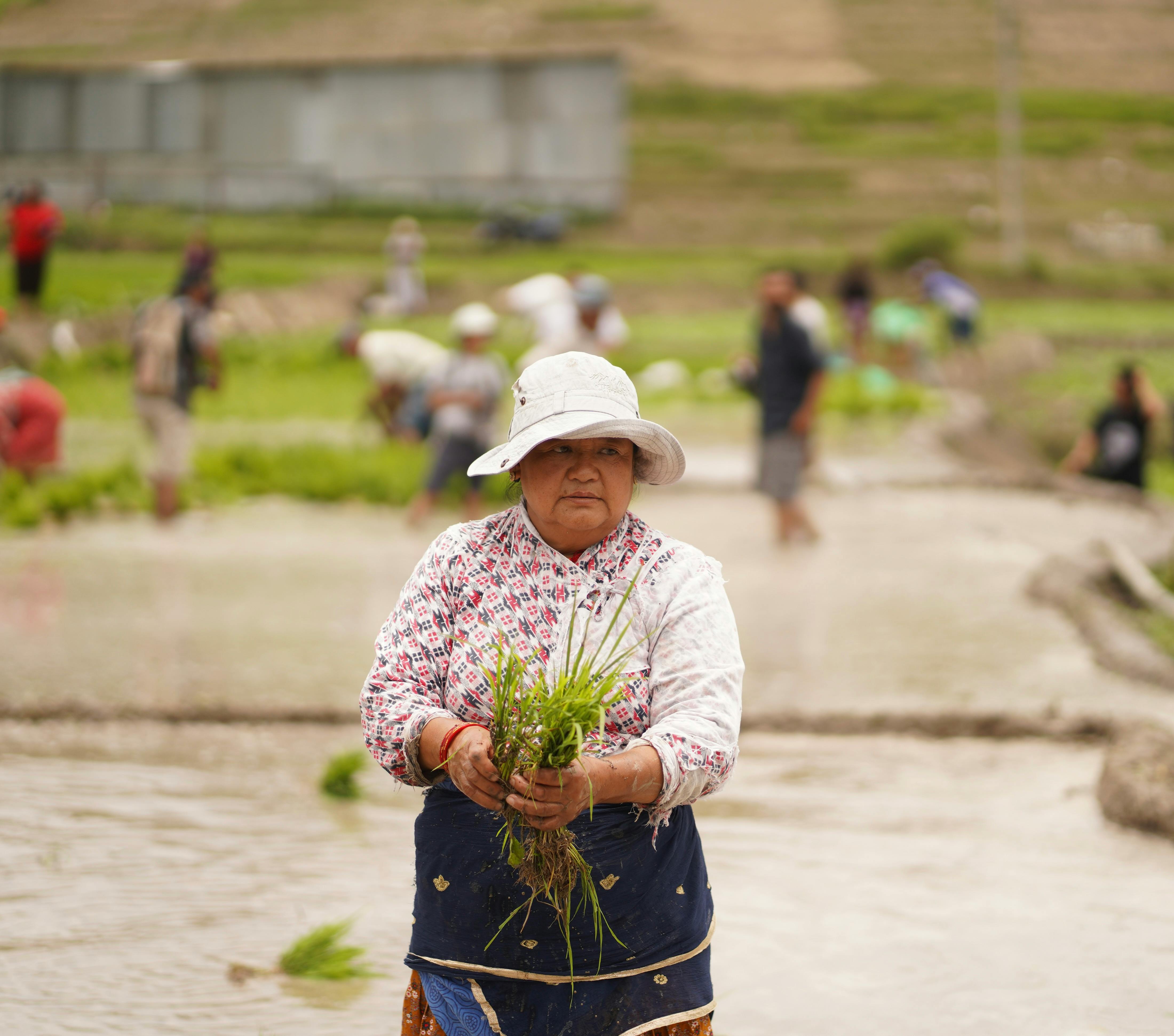 Asian+Pfp+Girl Photos, Download The BEST Free Asian+Pfp+Girl Stock ...