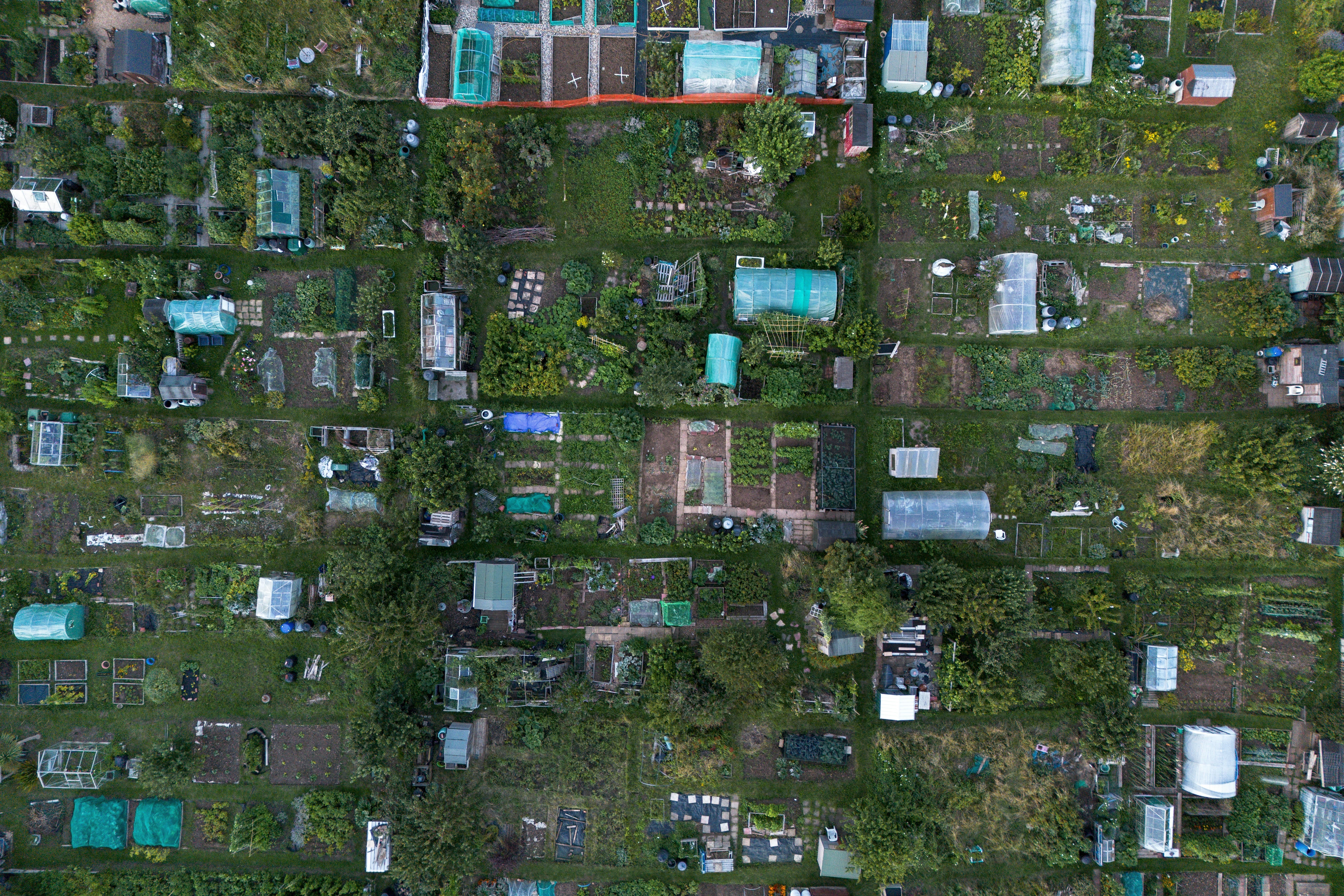 Aerial View of Community Gardens in Brighton, UK · Free Stock Photo