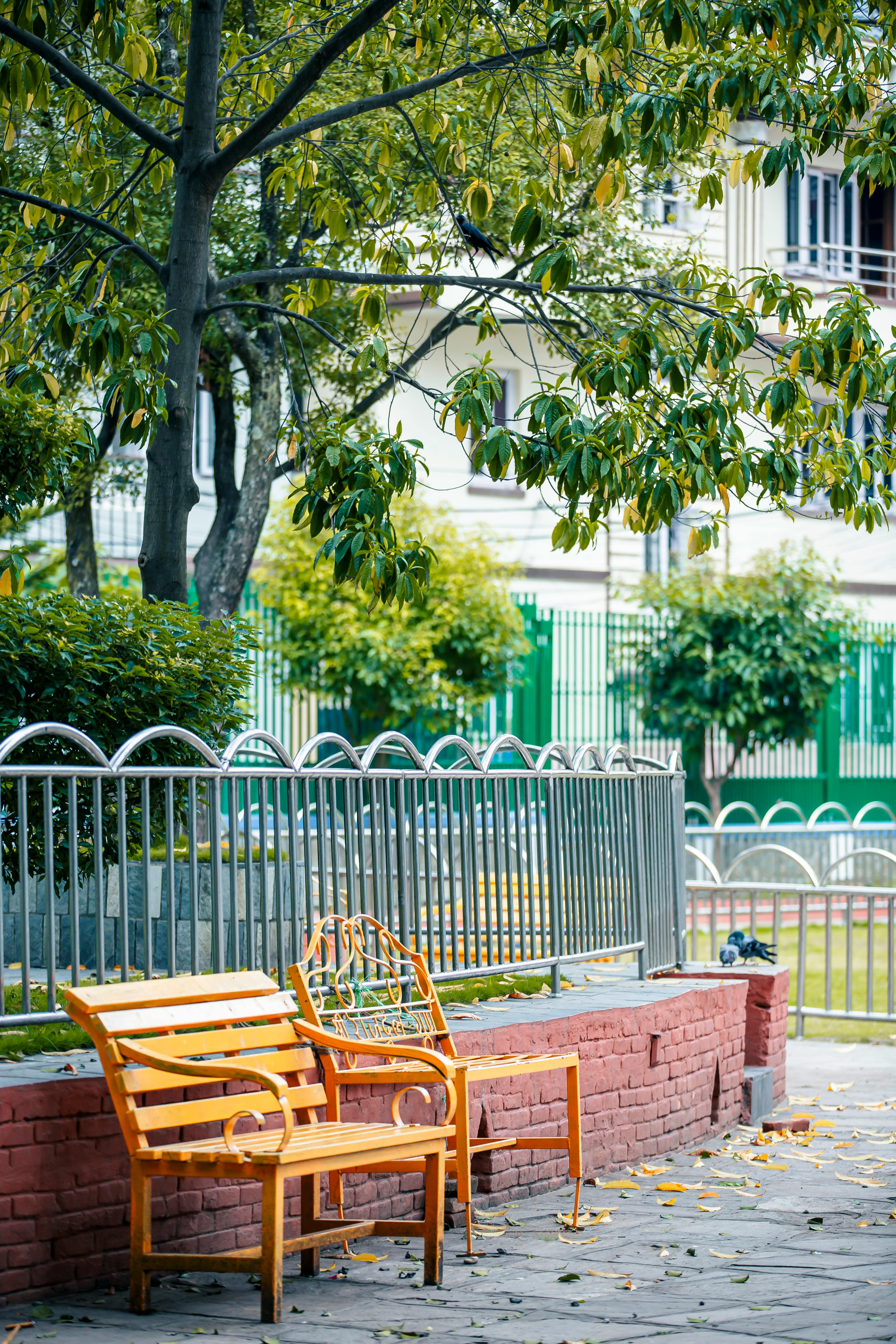 Peaceful Park Bench Under Shaded Trees · Free Stock Photo