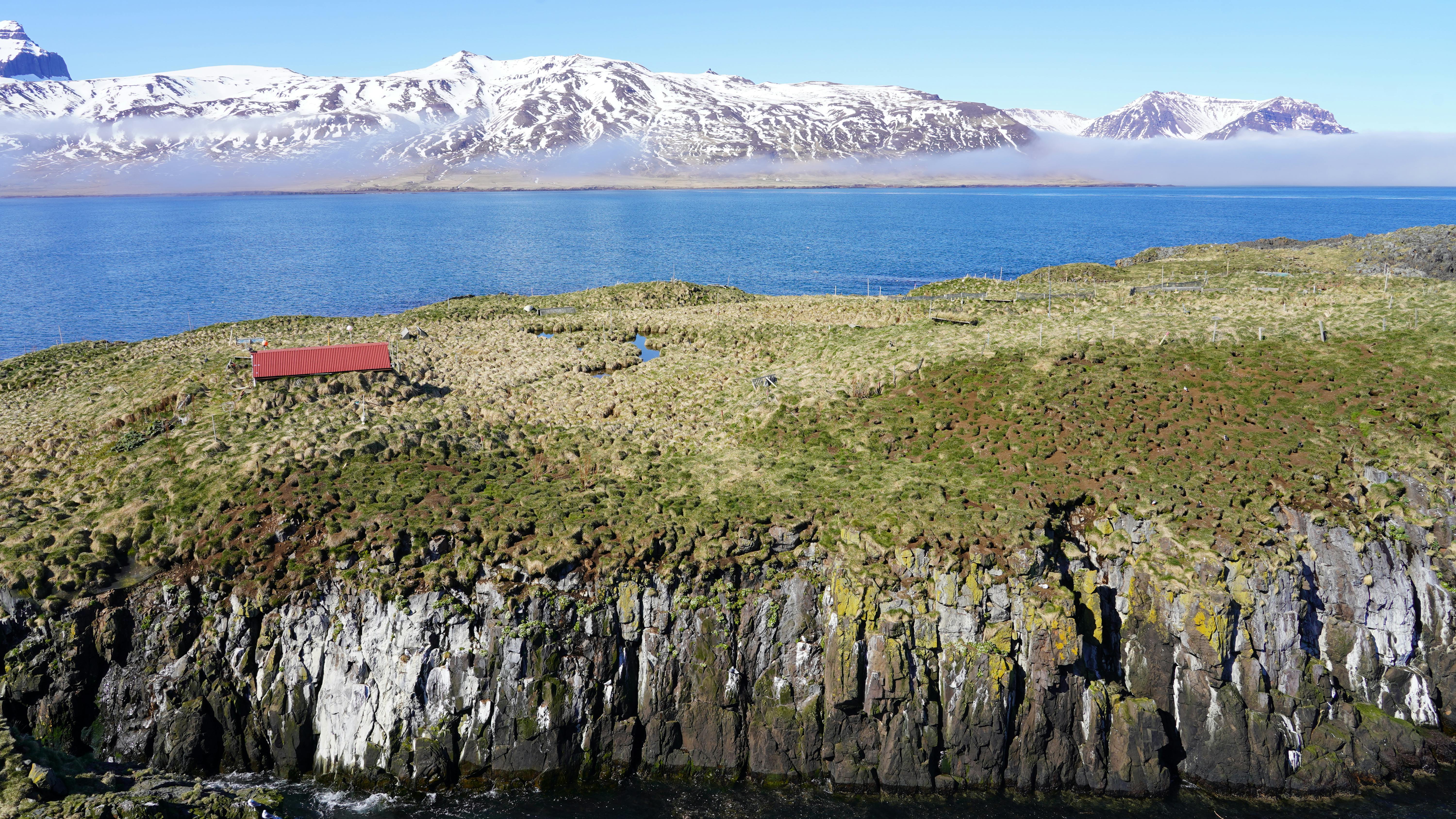 Scenic Icelandic Cliff with Mountain View · Free Stock Photo