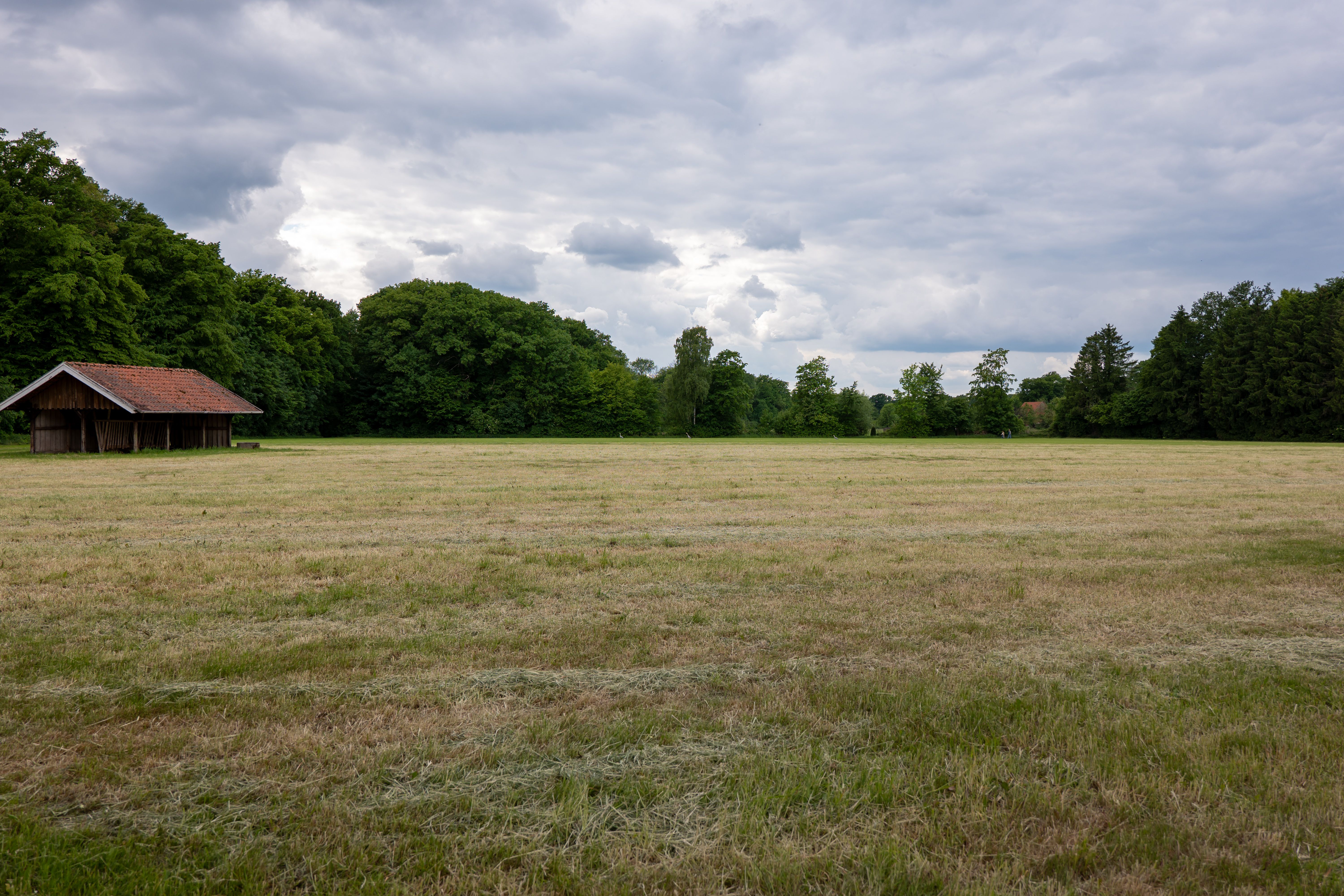Peaceful Countryside Field with Rustic Barn · Free Stock Photo