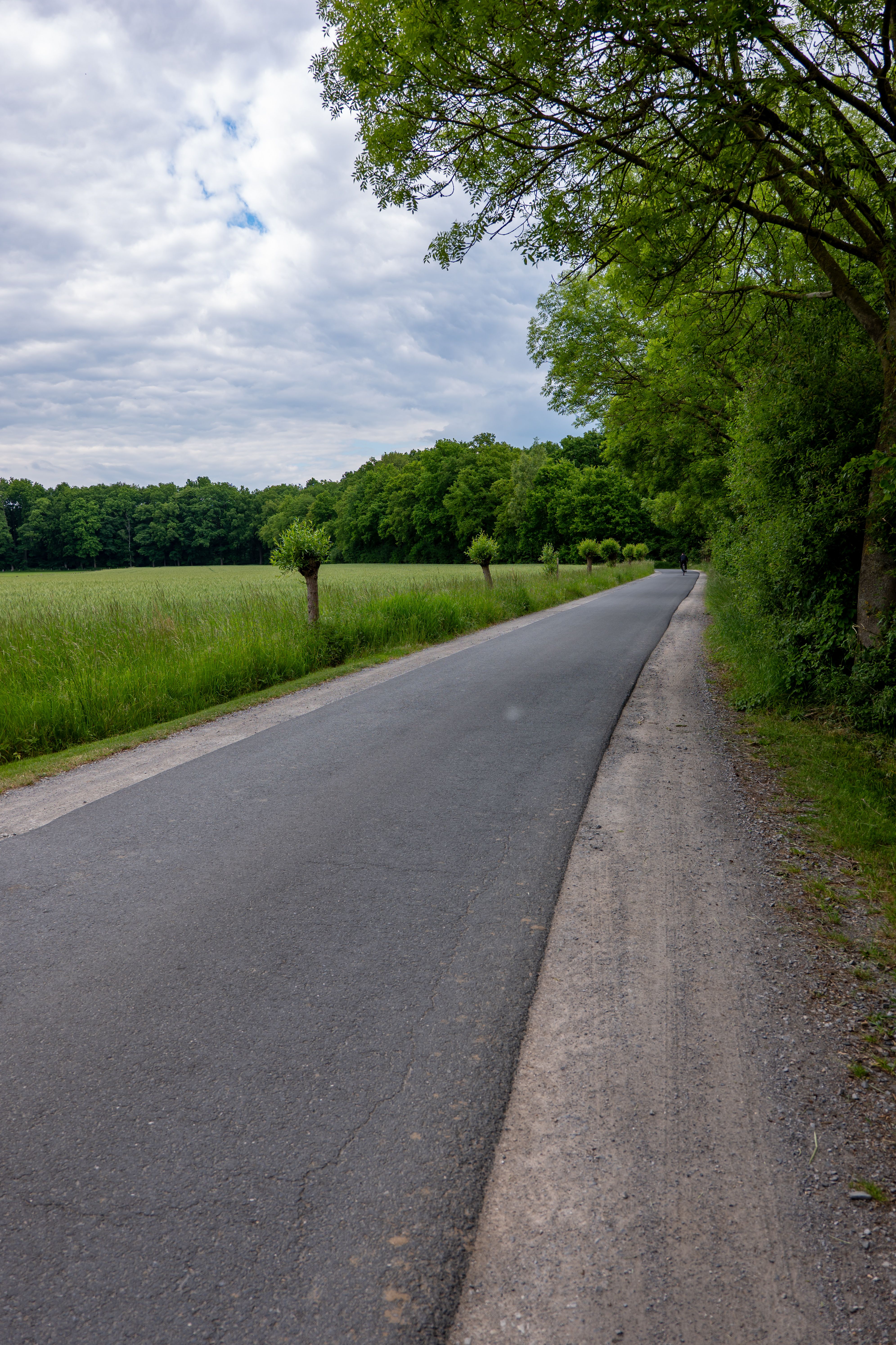 Paved Road Photos, Download The BEST Free Paved Road Stock Photos & HD ...