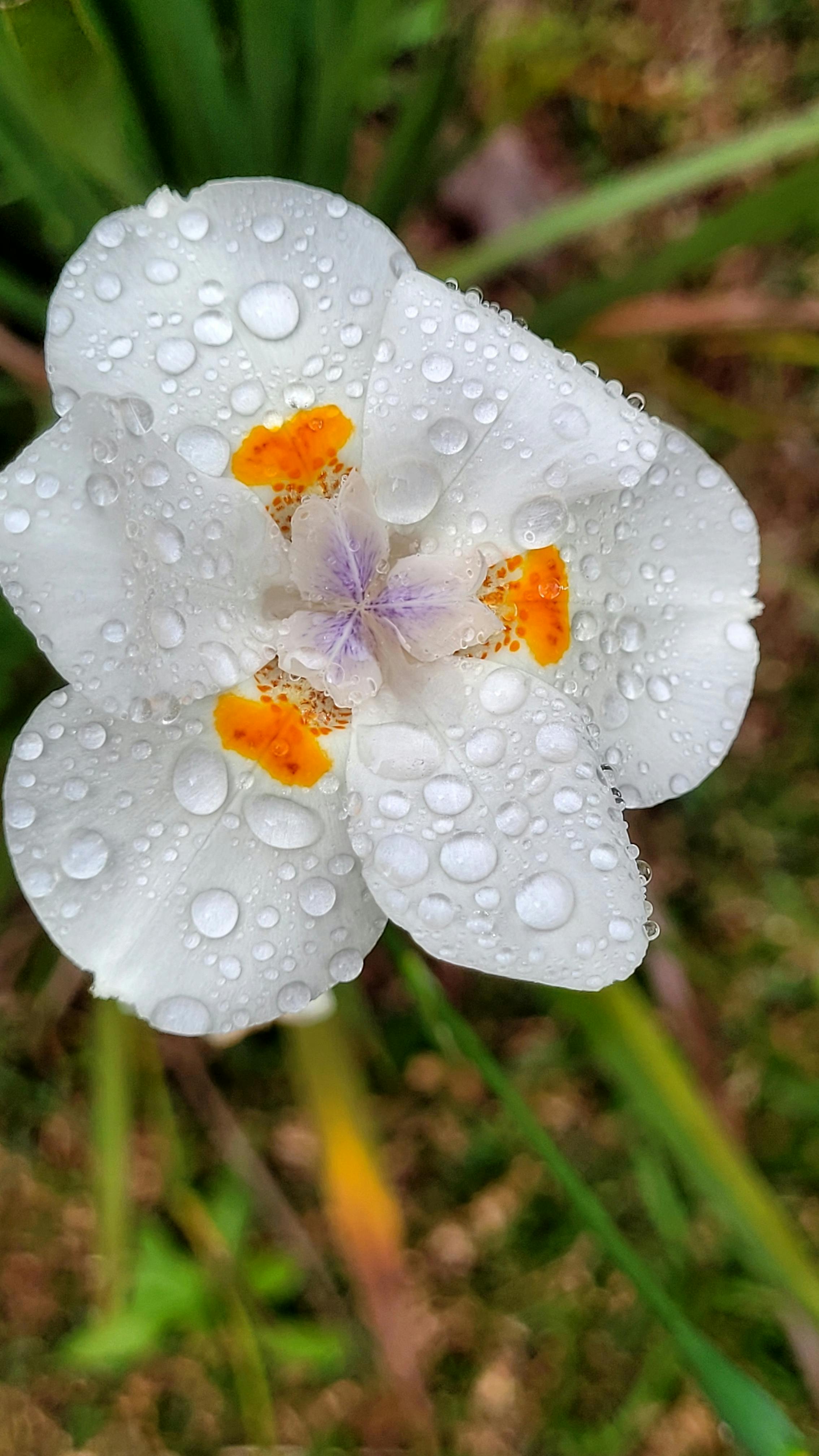 Anderson mendes – Fotografie