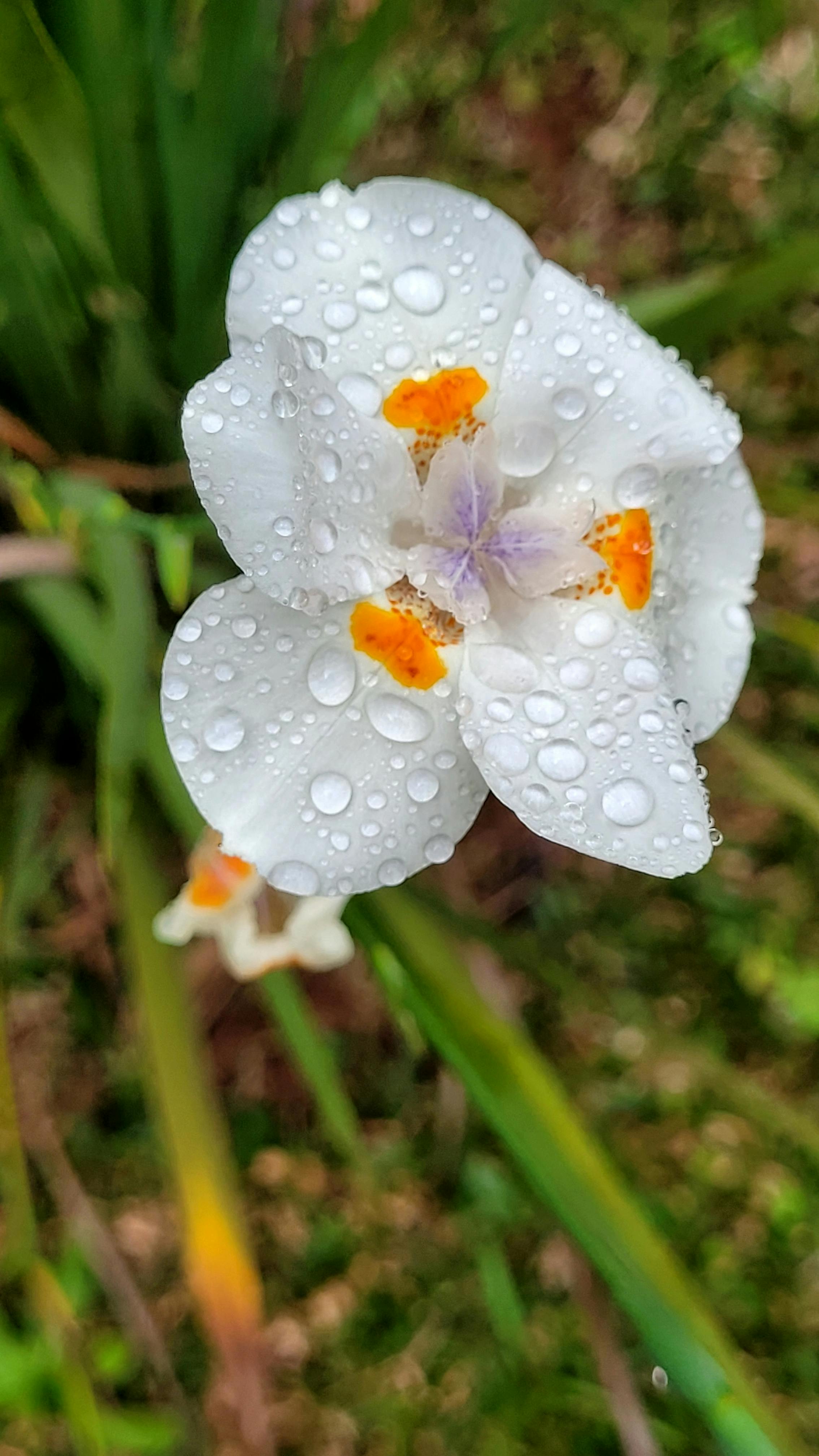 Anderson mendes – Fotografie