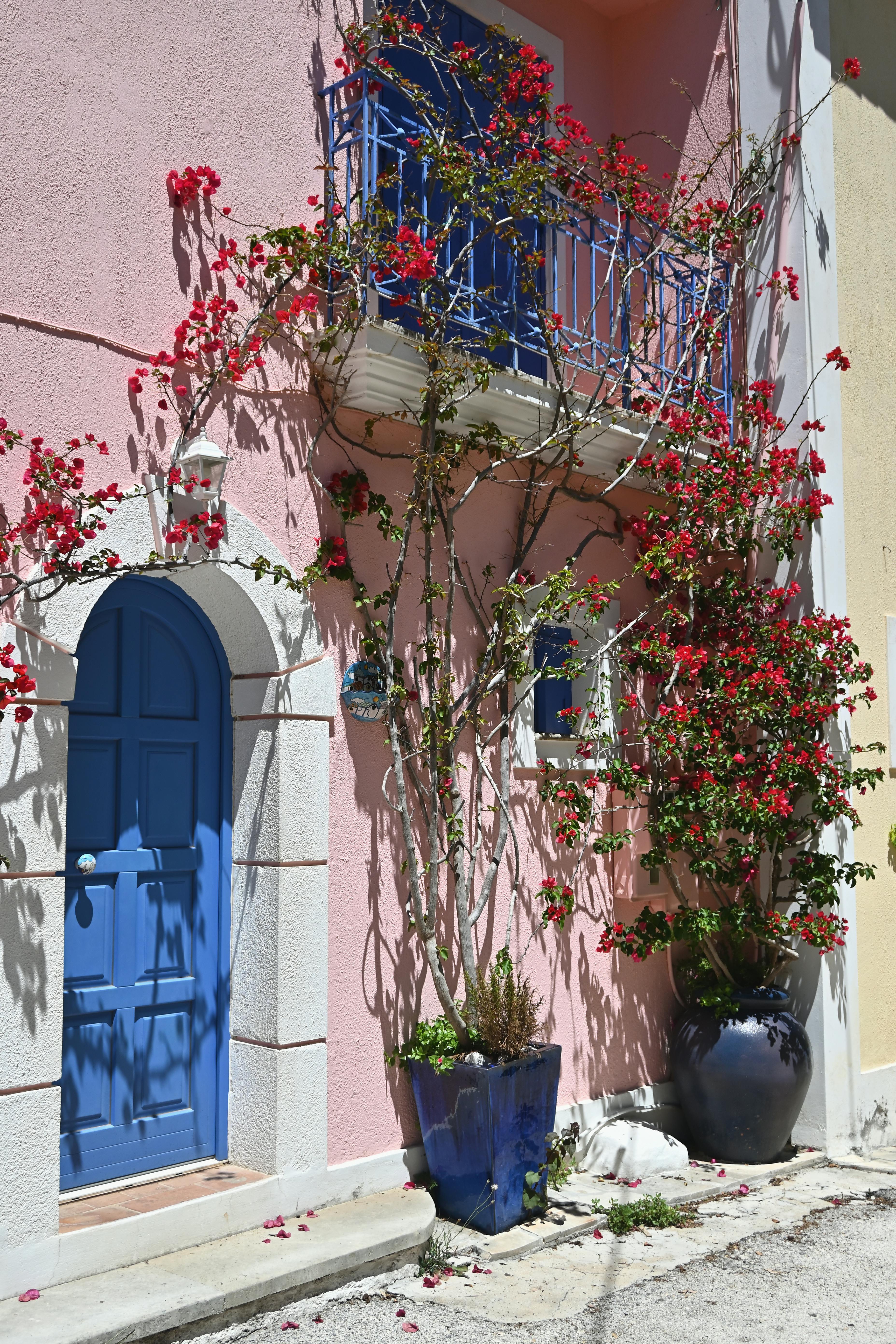 David Pryke - Photography