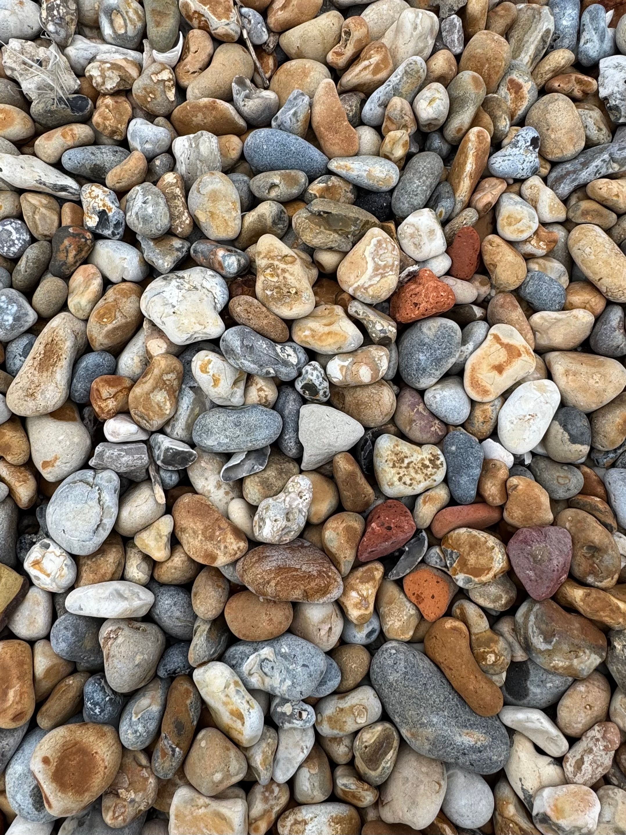 Colorful Pebble Arrangement on Beach Shore · Free Stock Photo