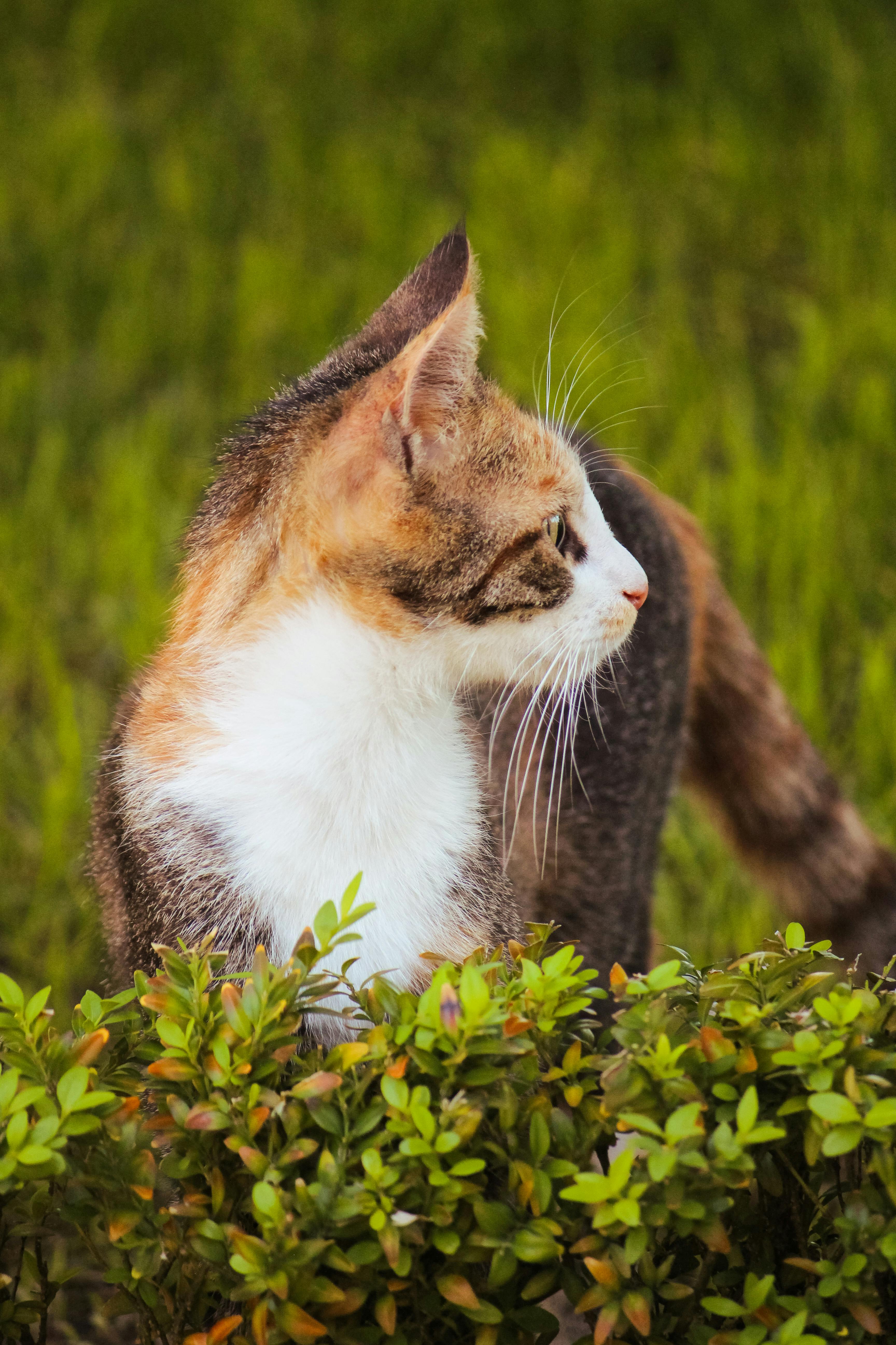 Search For Rewite Photos, Download The BEST Free Search For Rewite ...