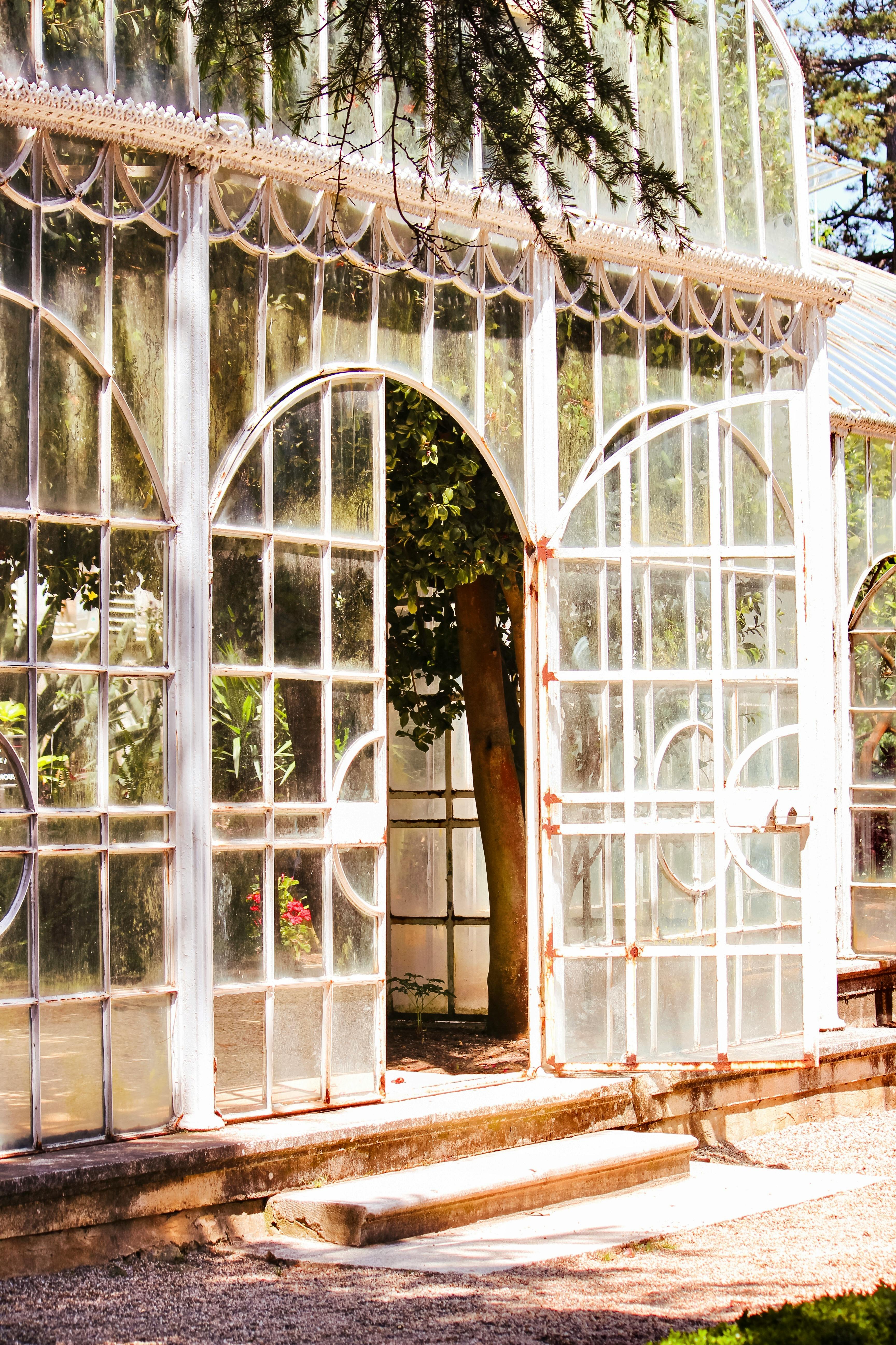 Transparency Architecture Stock Photos, Download The BEST Free ...