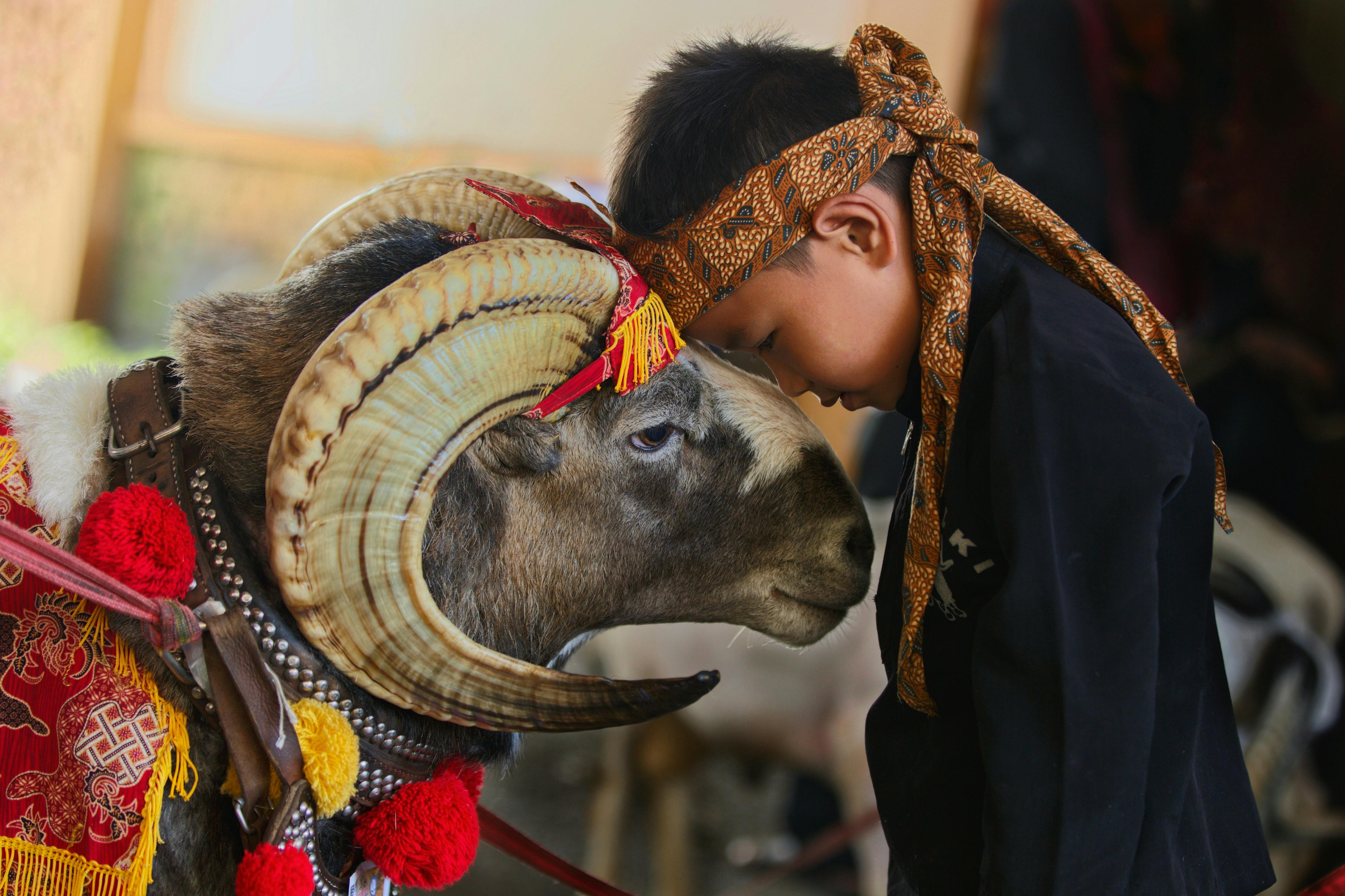 Bhagwan Ram 20s Boy Photos, Download The BEST Free Bhagwan Ram 20s Boy ...