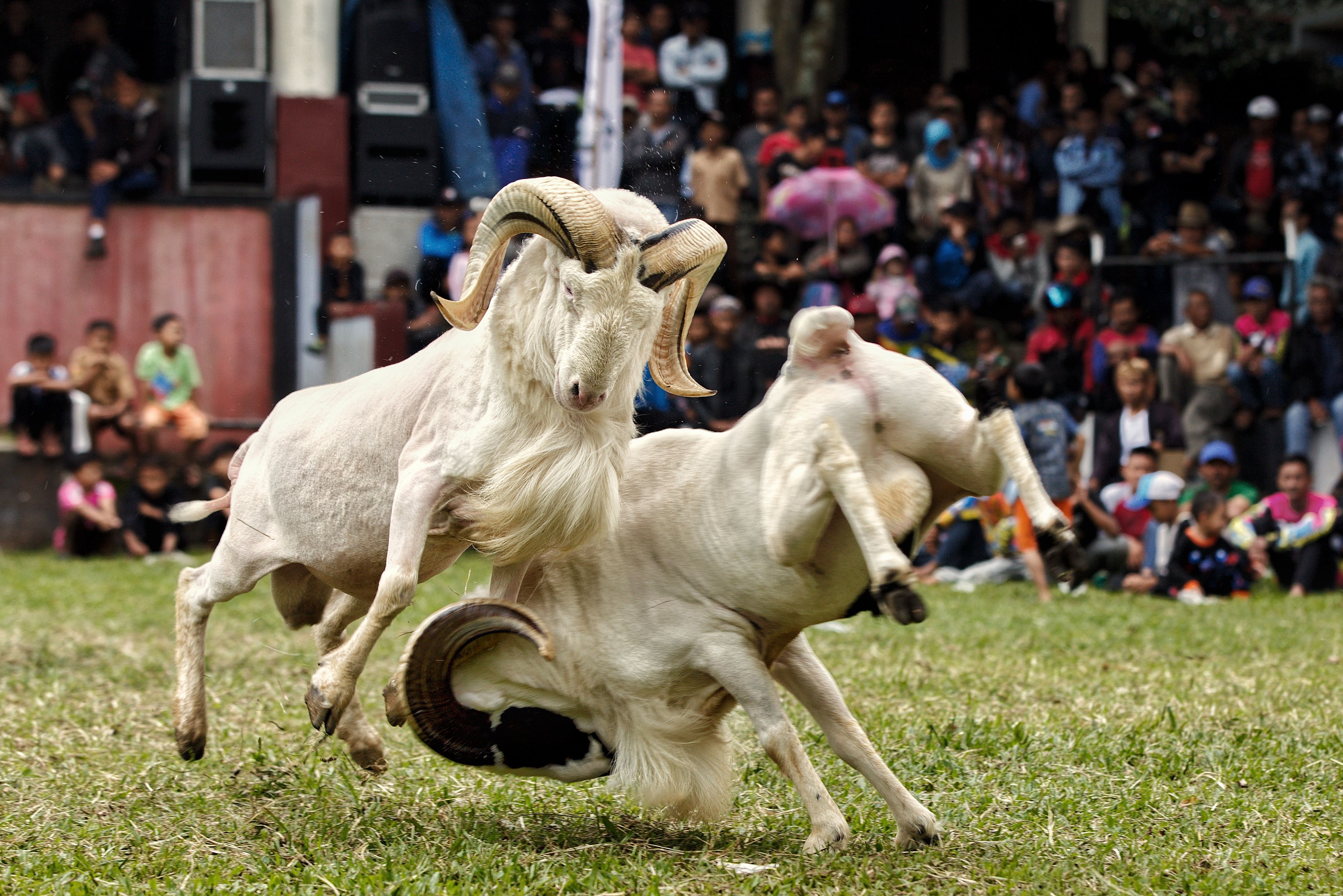 Community Event Photos, Download The BEST Free Community Event Stock ...