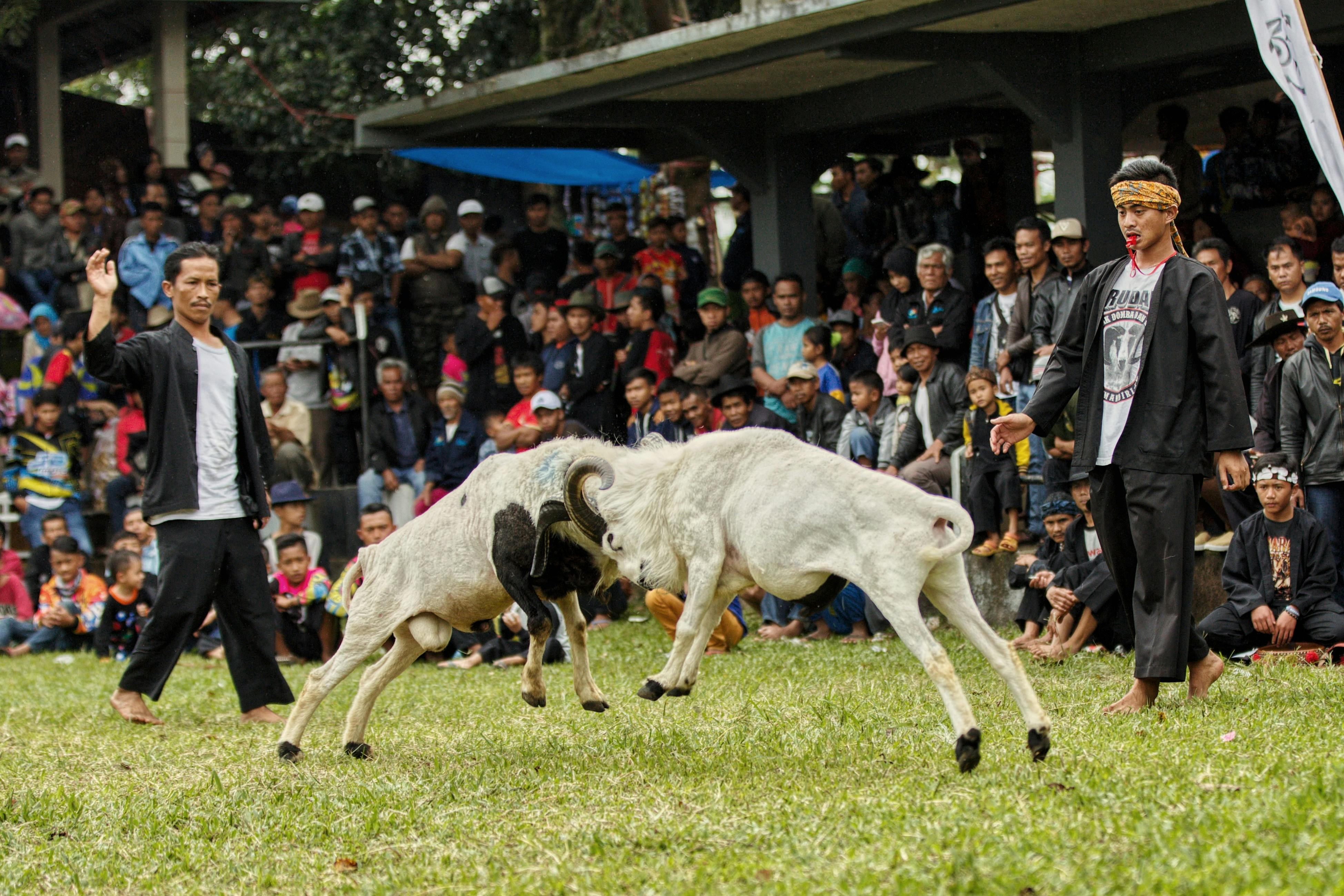 Temppelin Ovi Photos, Download The BEST Free Temppelin Ovi Stock Photos ...