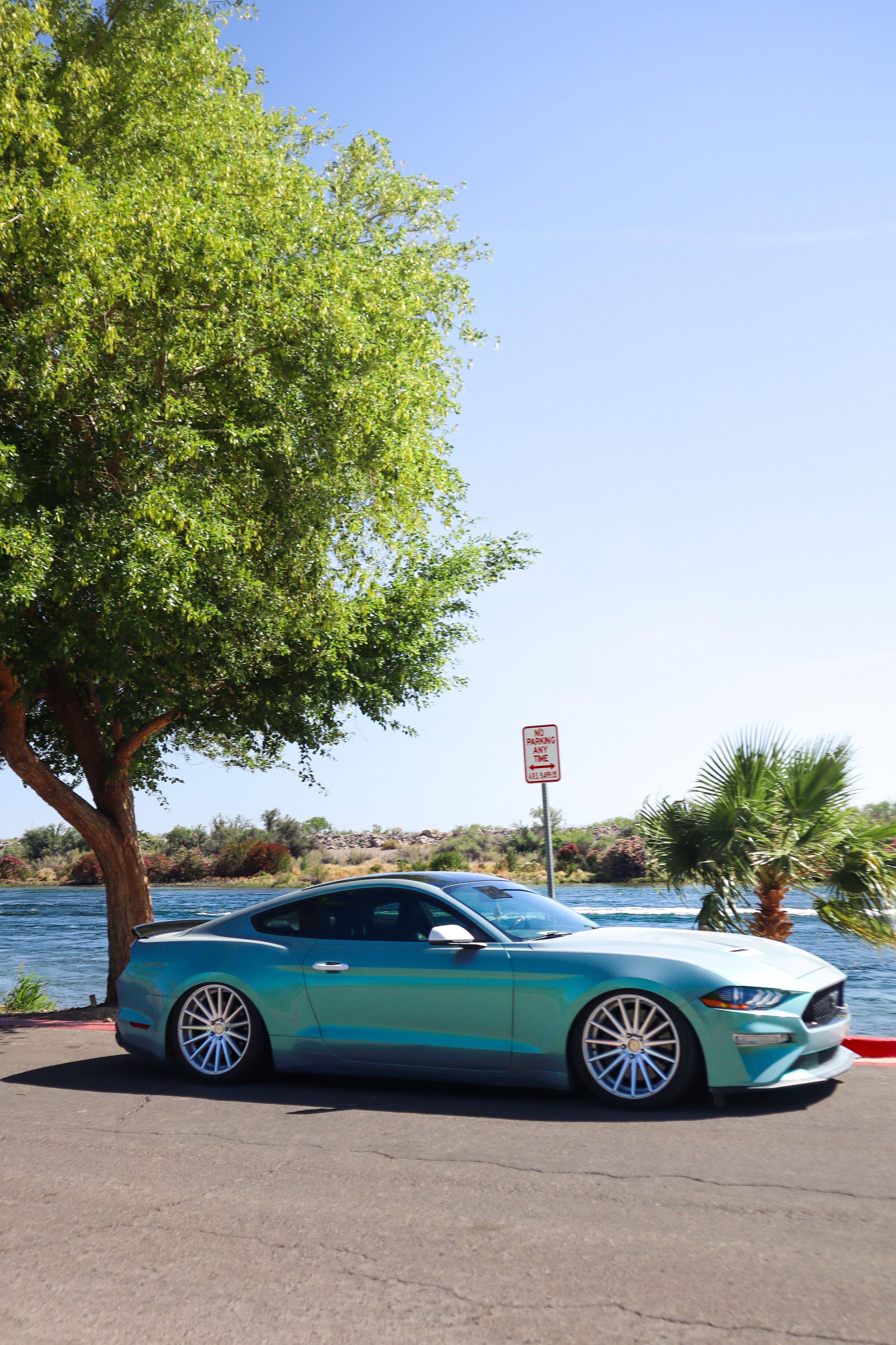 Sleek Turquoise Sports Car by Riverside · Free Stock Photo