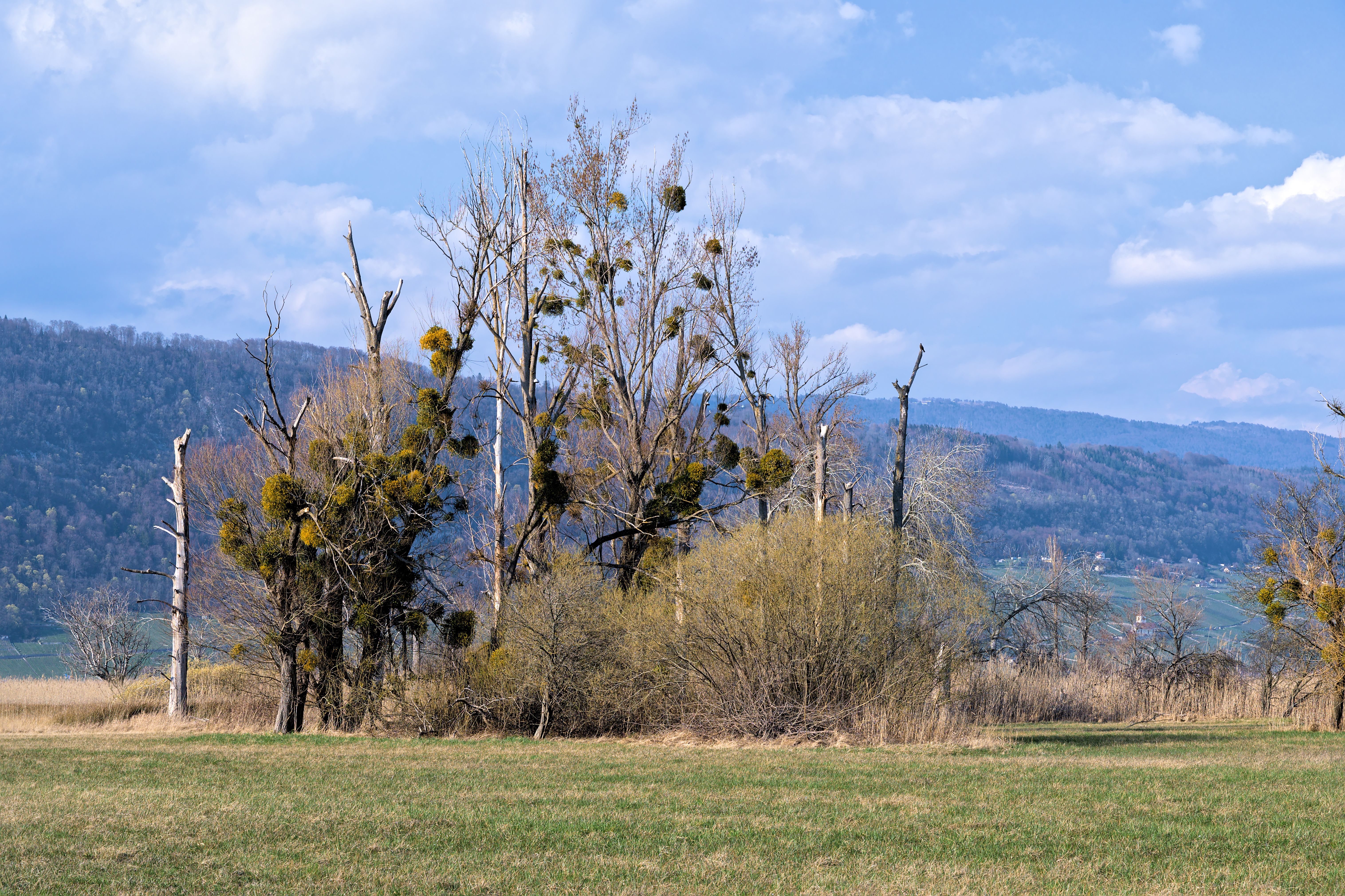 Untouched Countryside Photos, Download The BEST Free Untouched ...
