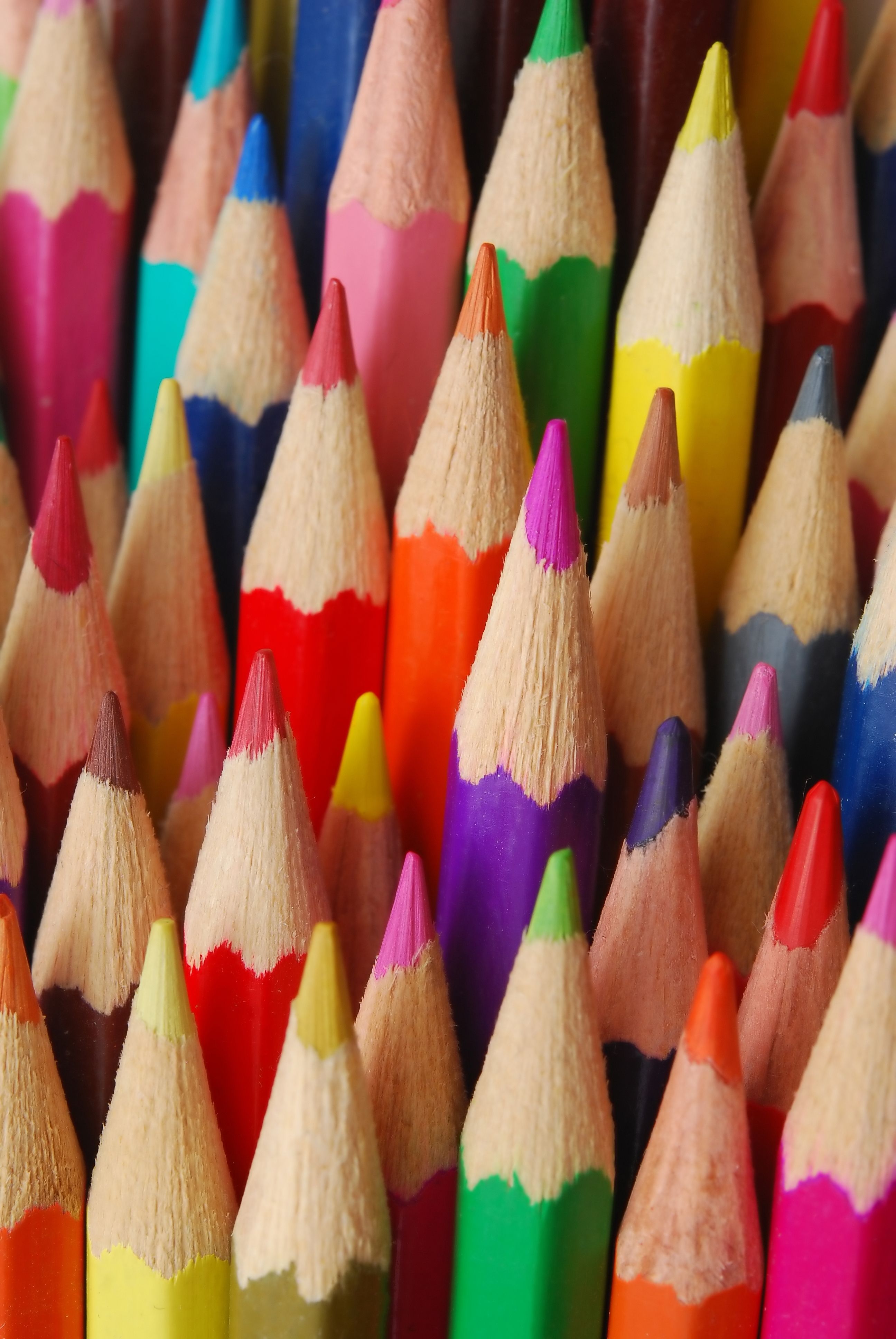Vibrant Colored Pencils Close-Up Shot · Free Stock Photo