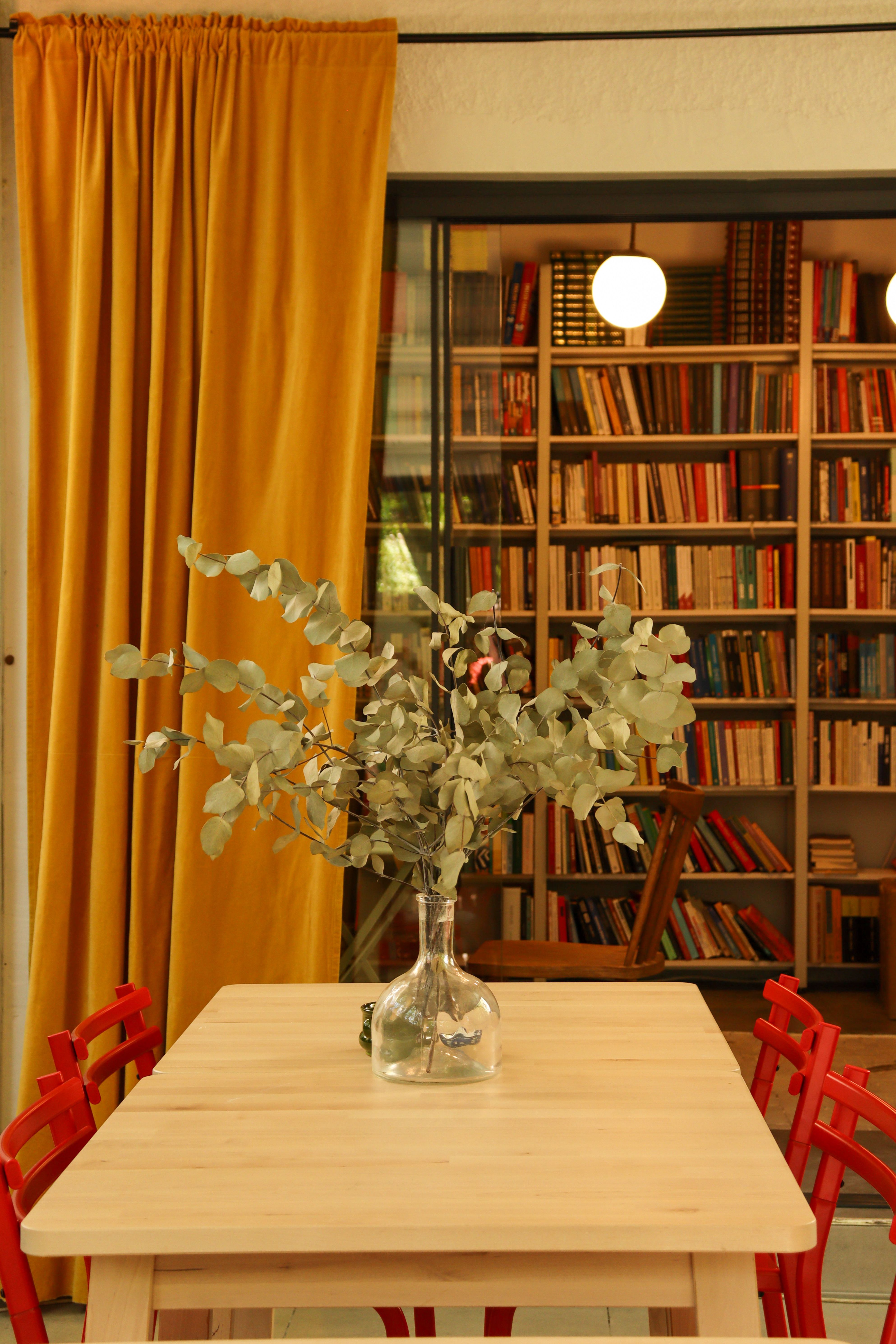 Cozy Library Interior with Books and Bright Curtains · Free Stock Photo
