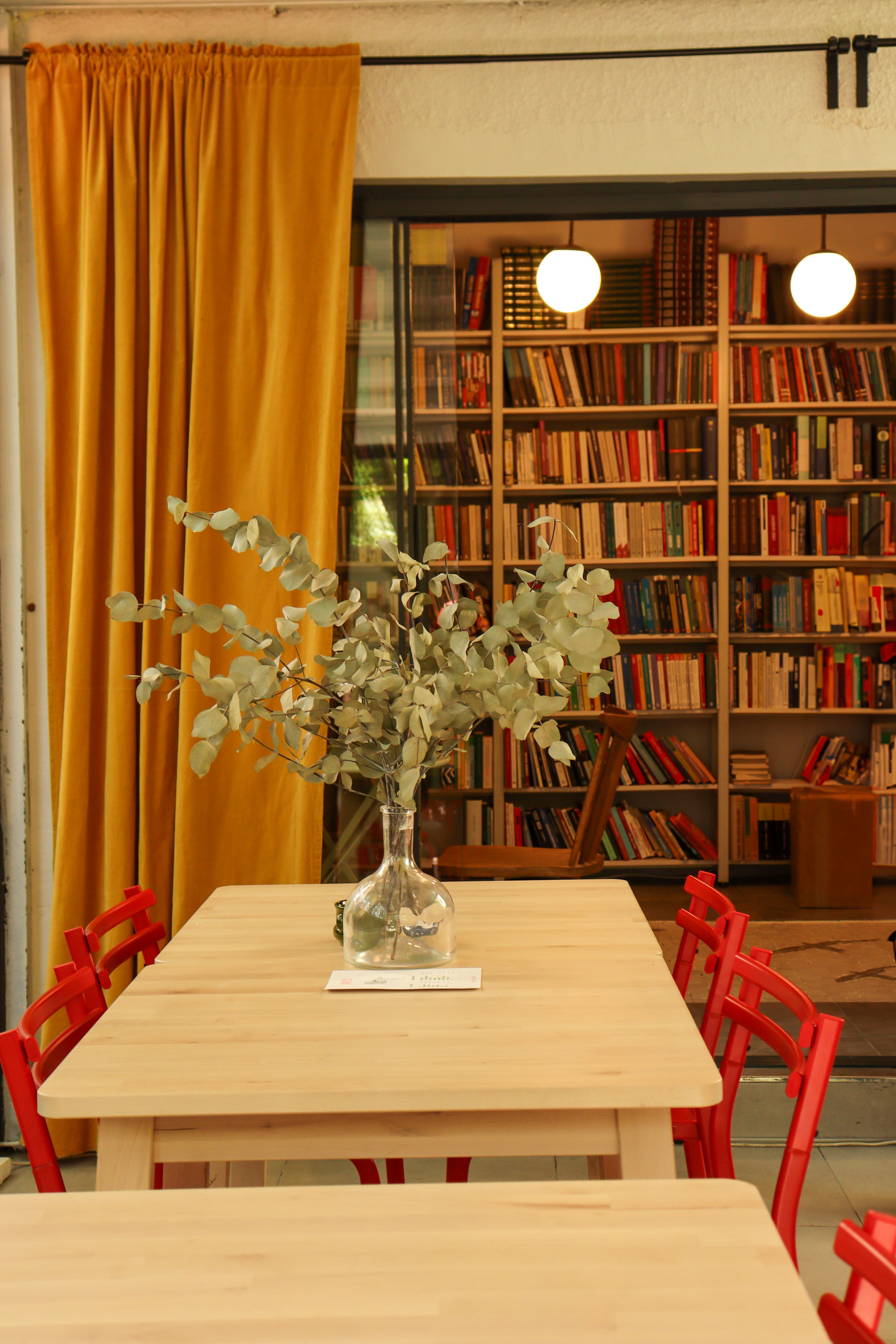Cozy Café with Bookshelf and Eucalyptus Vase · Free Stock Photo