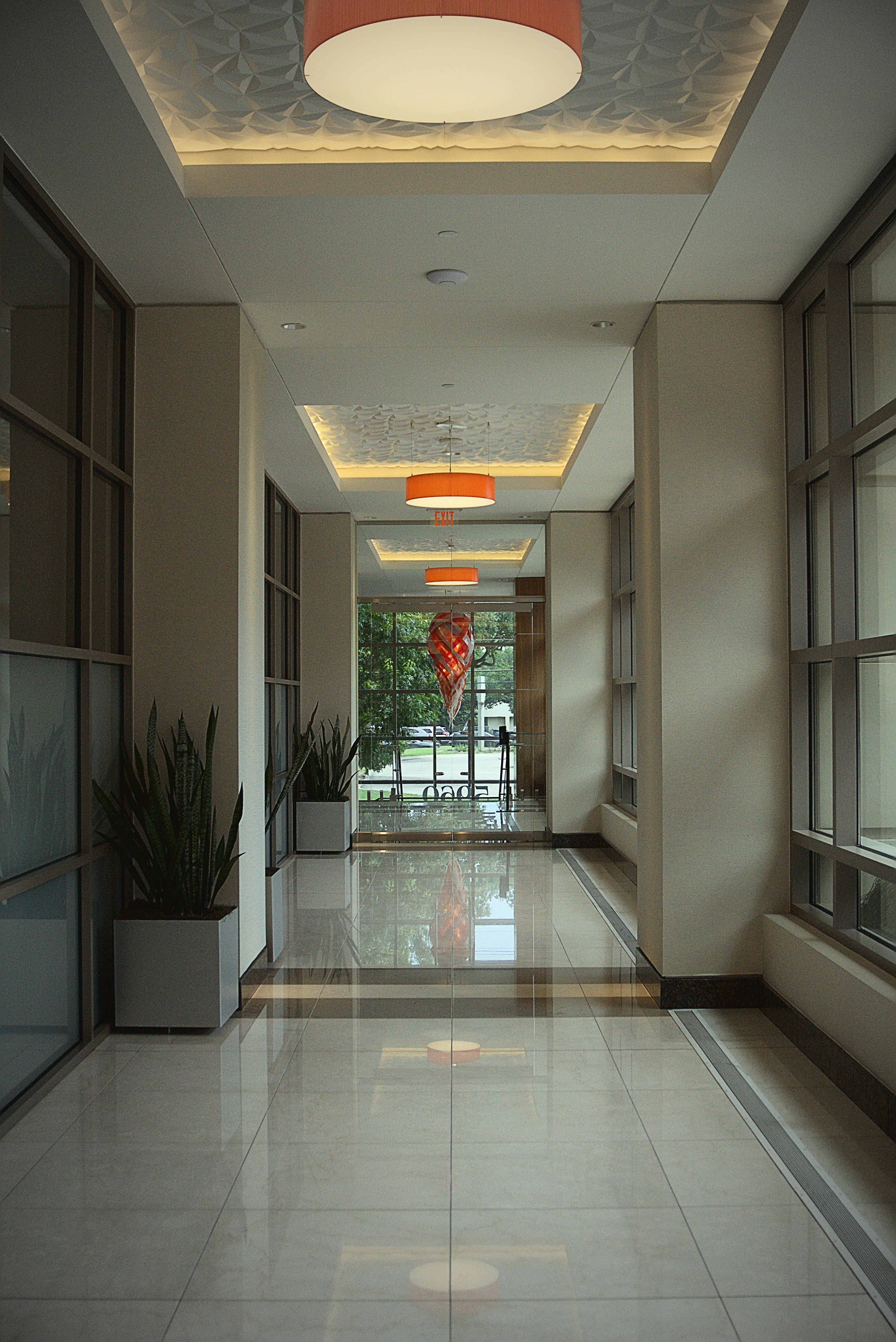 Modern Office Hallway with Natural Light · Free Stock Photo