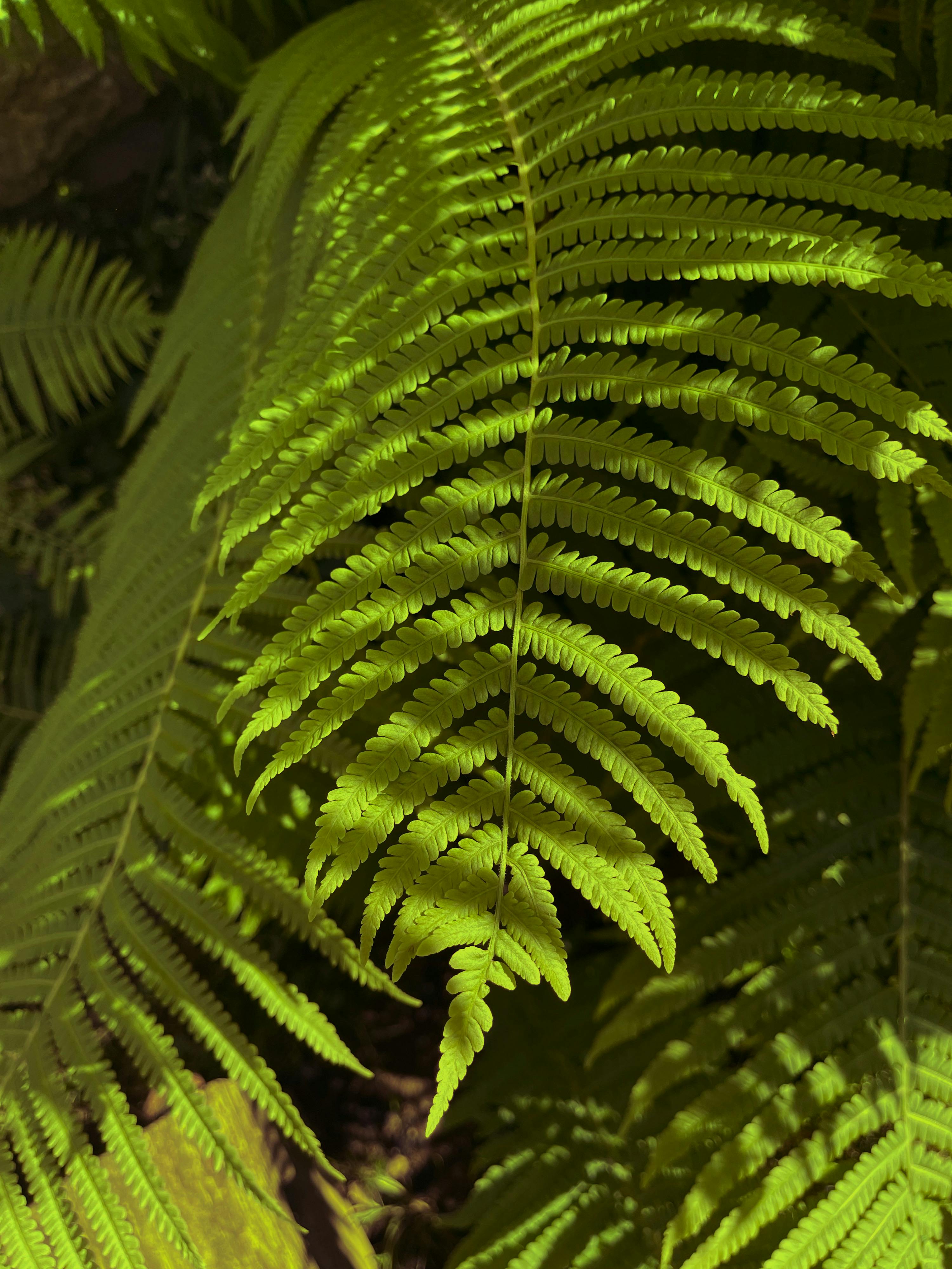 Beuty Photos, Download The BEST Free Beuty Stock Photos & HD Images