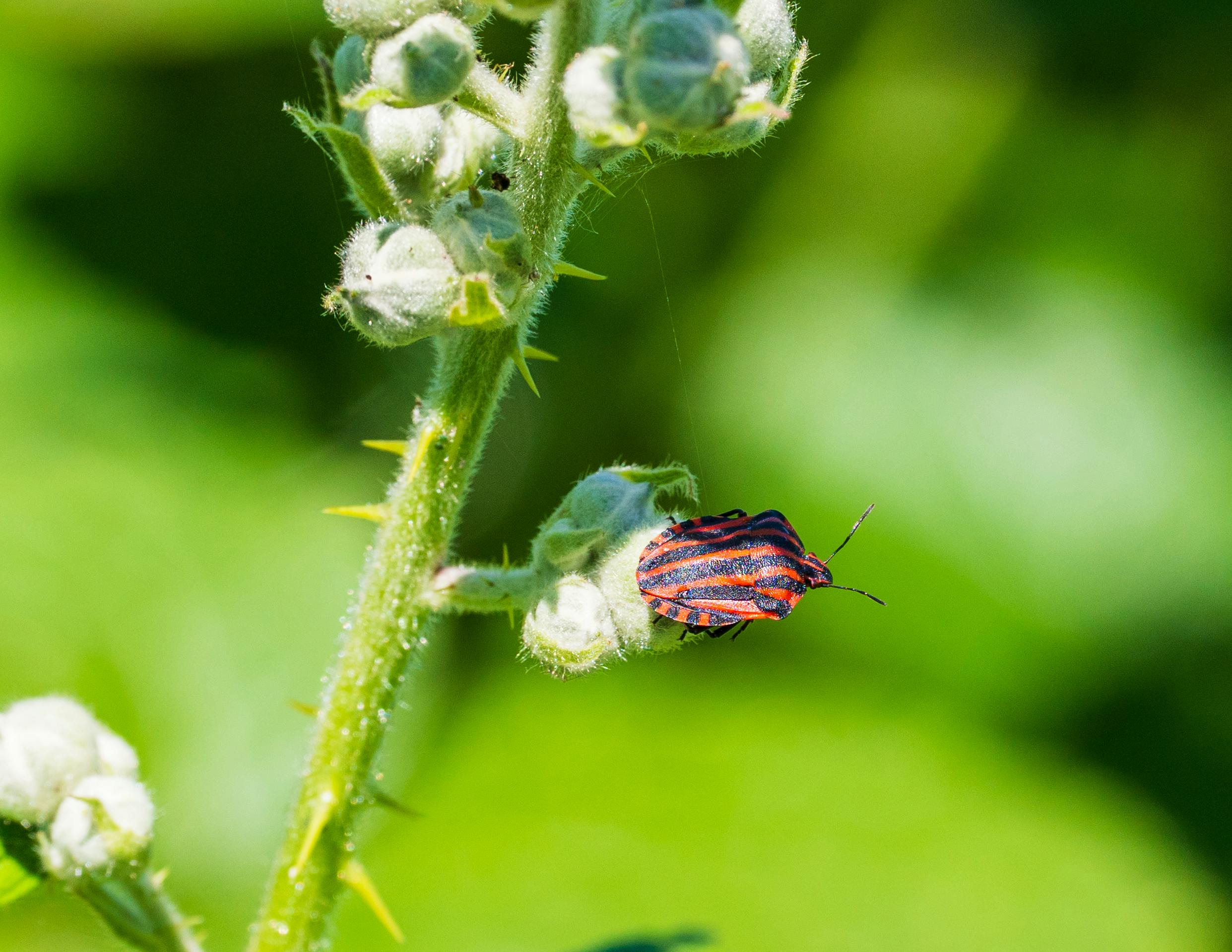 Just A Minute Photos, Download The BEST Free Just A Minute Stock Photos ...