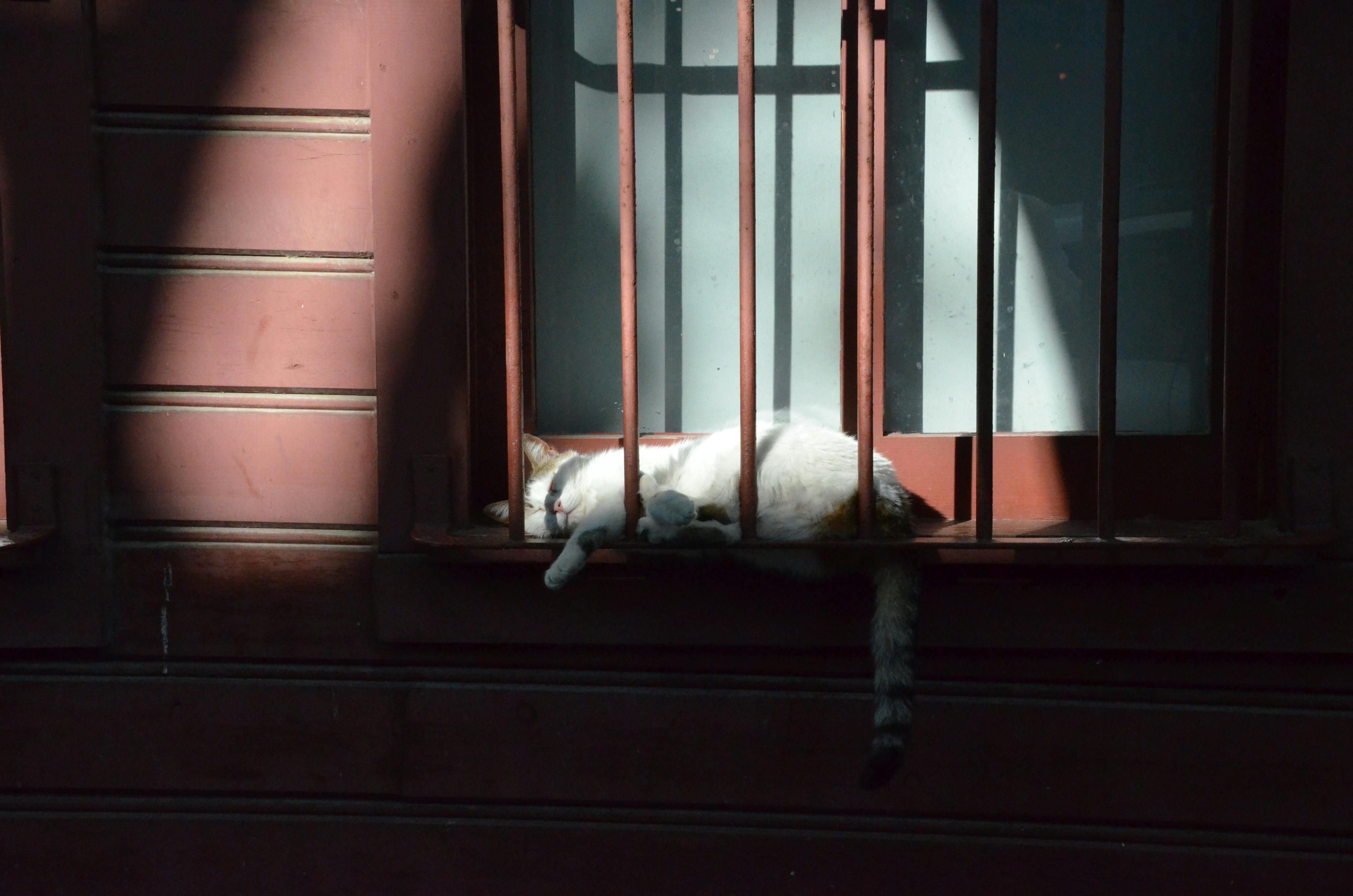 Radio Bars Photos, Download The BEST Free Radio Bars Stock Photos & HD ...