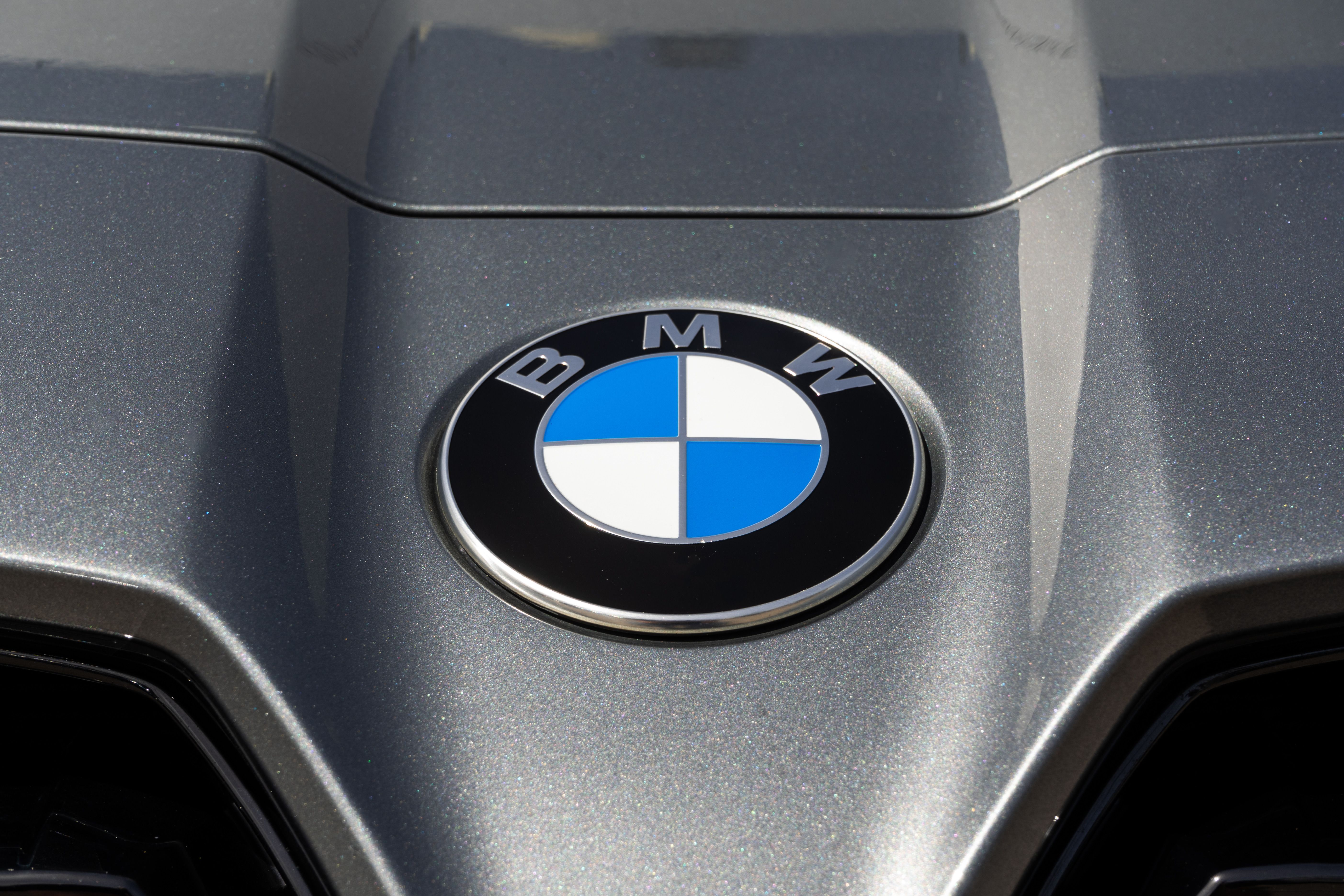 Close-up of a car emblem on silver hood · Free Stock Photo