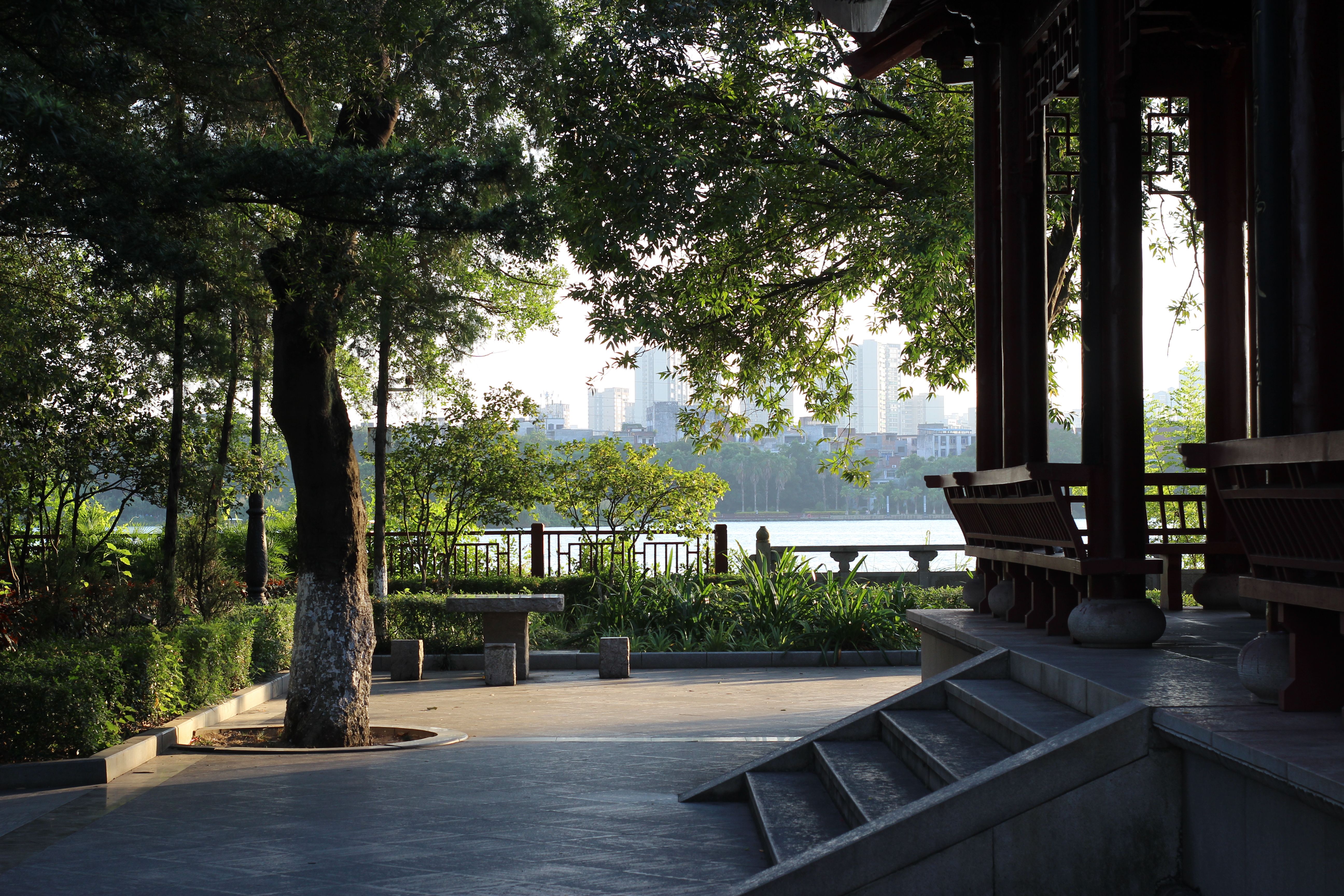 Serene Park View with Traditional Pavilion · Free Stock Photo