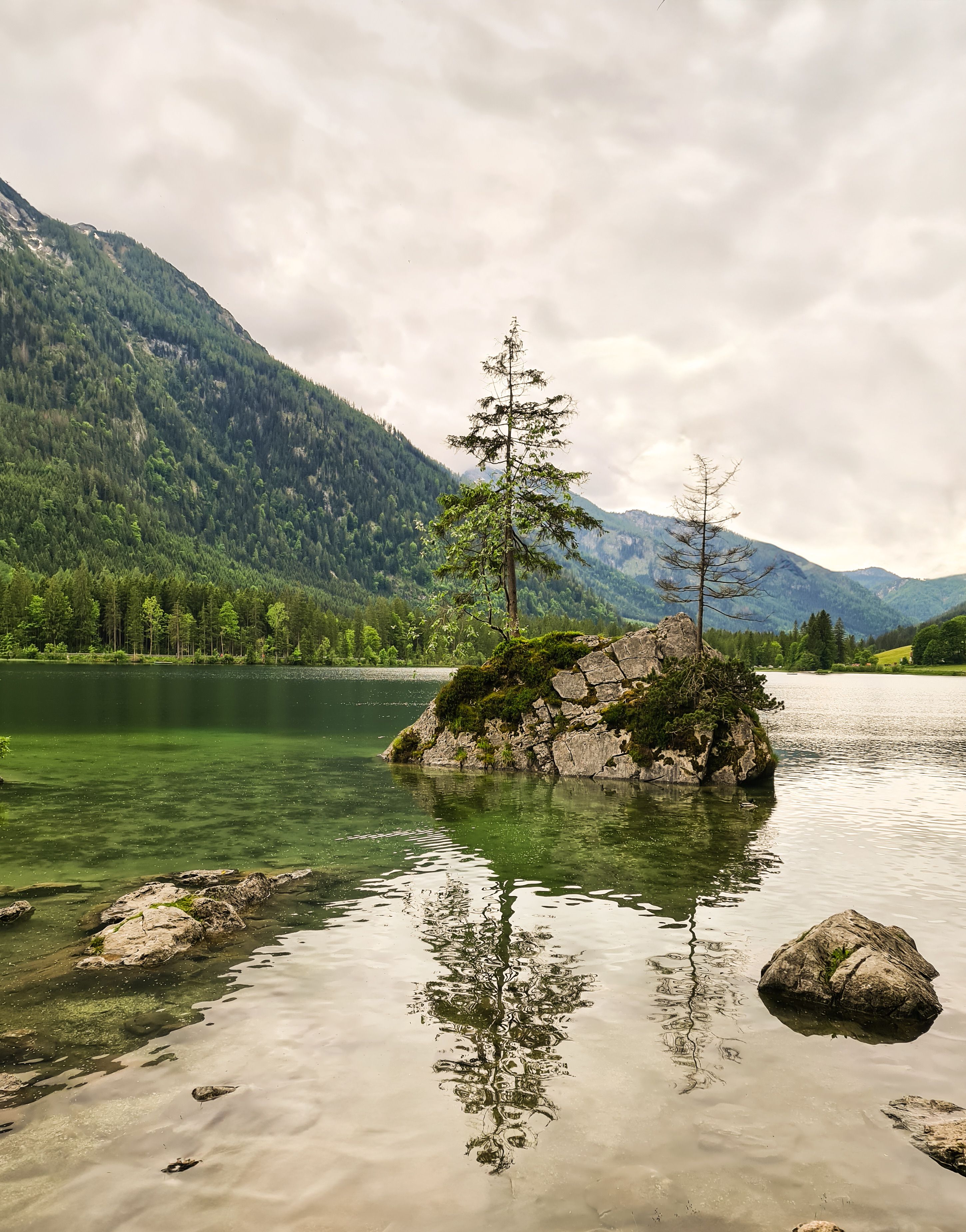 1,000+ Best Brook Photos · 100% Free Download · Pexels Stock Photos