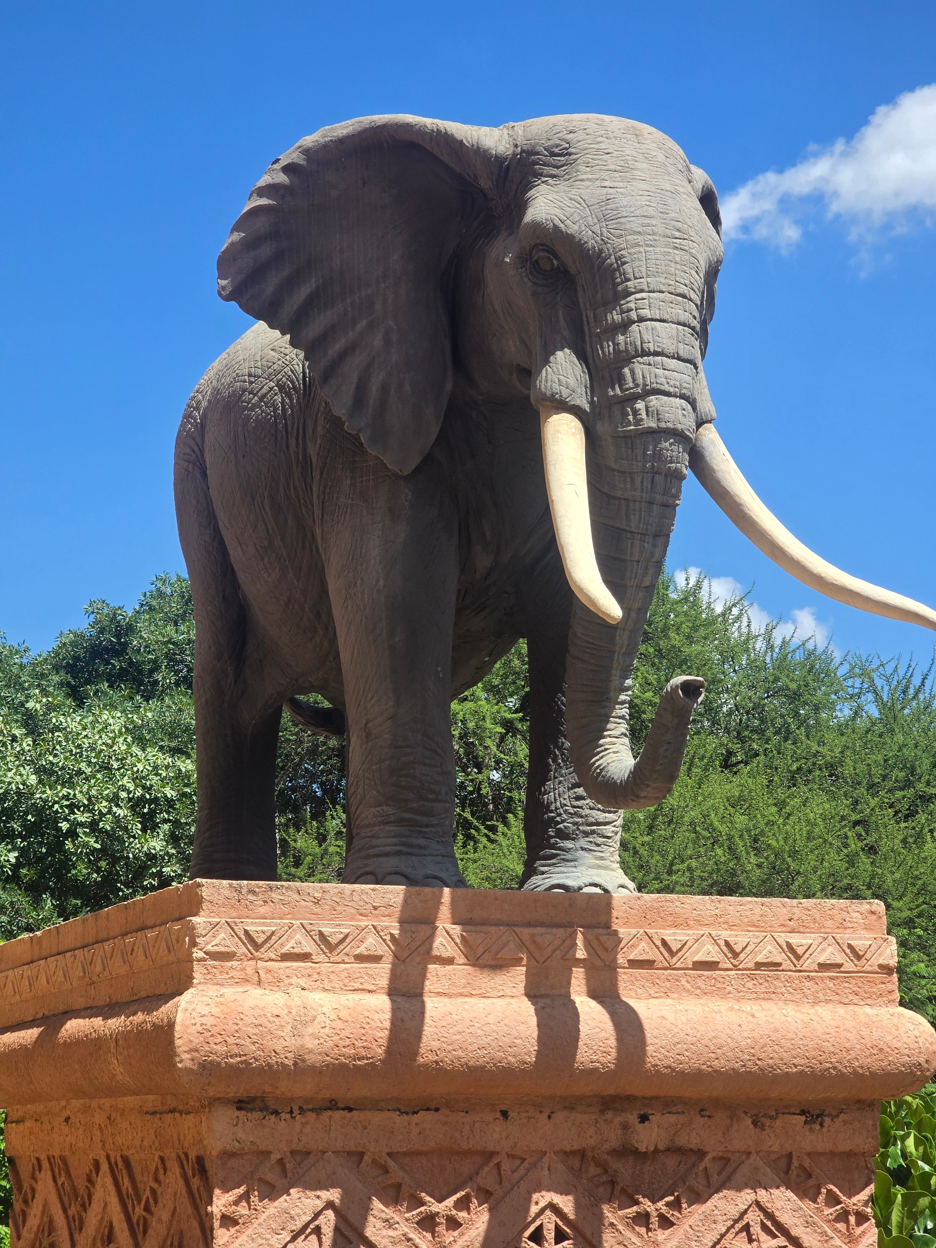 Majestic Elephant Statue in Sun City, South Africa · Free Stock Photo