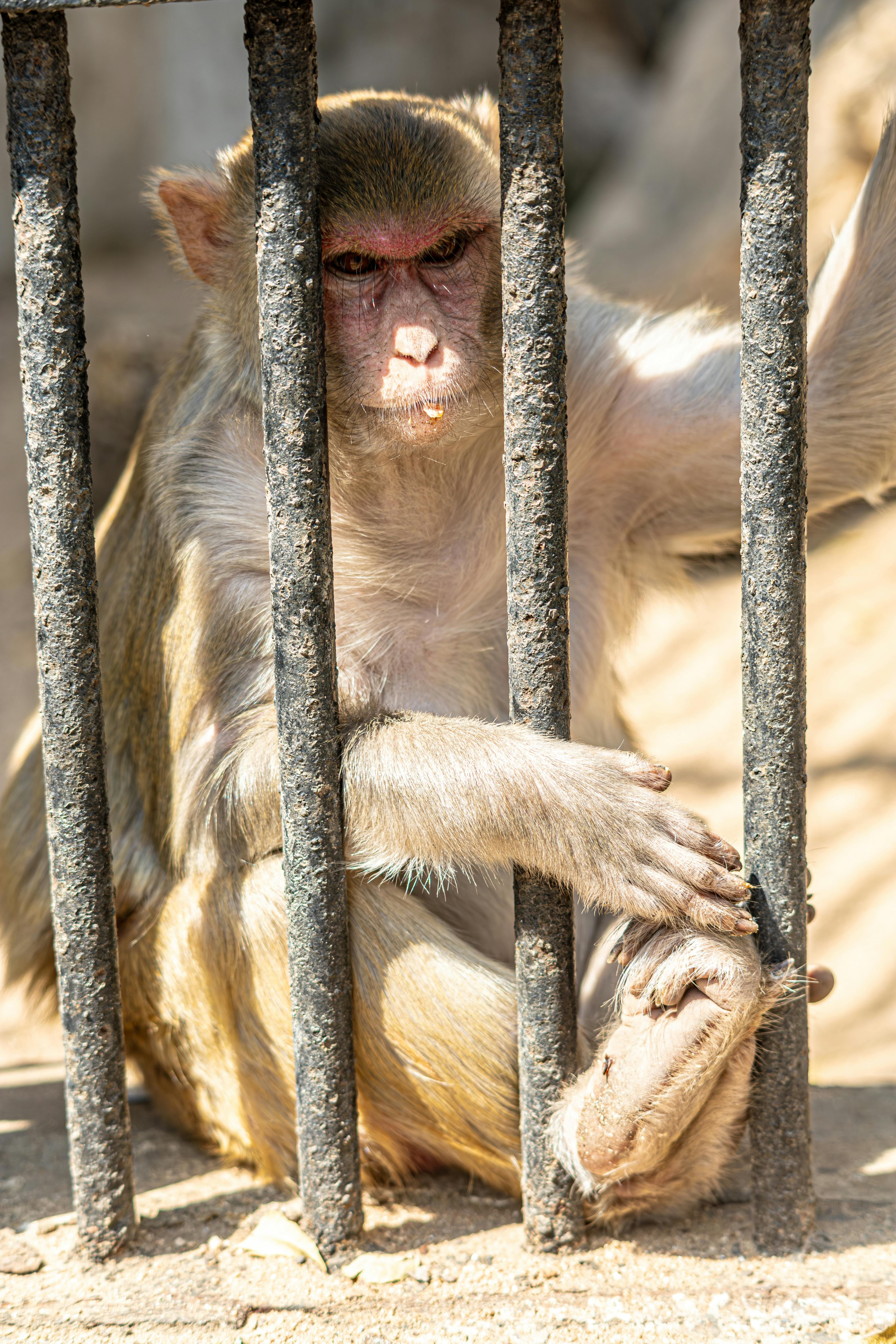 Misleading Behavior Photos, Download The BEST Free Misleading Behavior ...