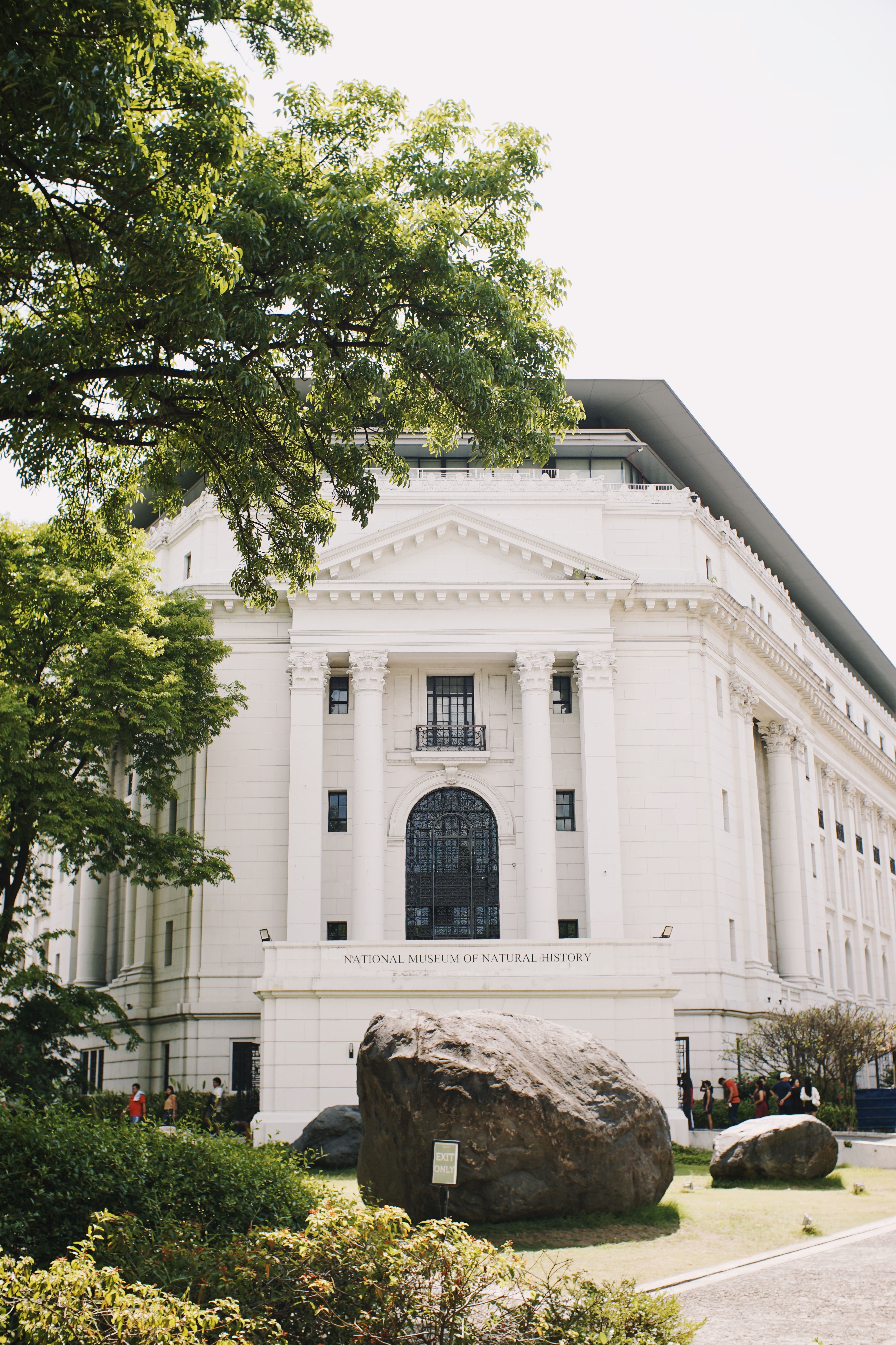 Elegant Facade of Historic Museum Building · Free Stock Photo