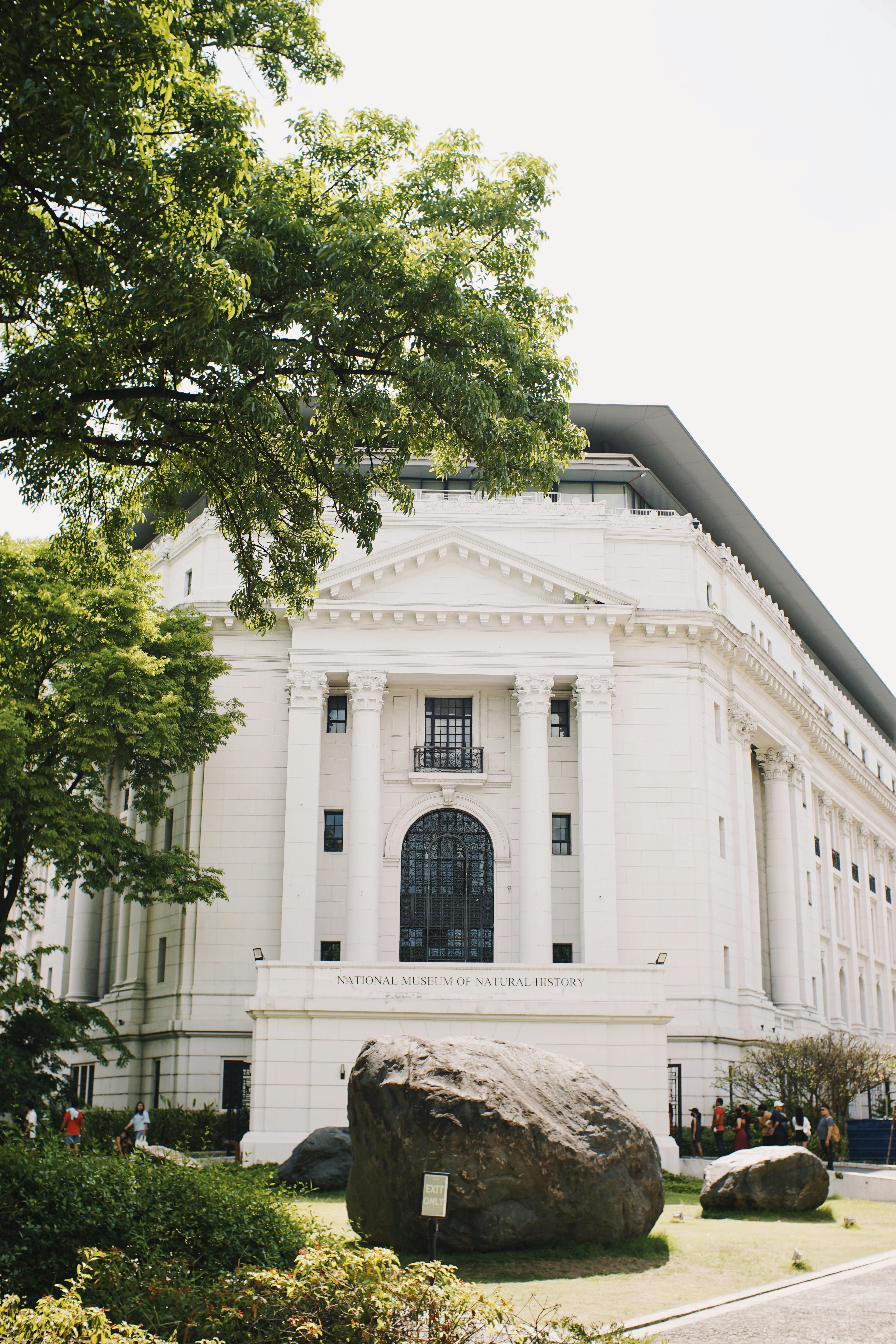 Plinths Photos, Download The BEST Free Plinths Stock Photos & HD Images